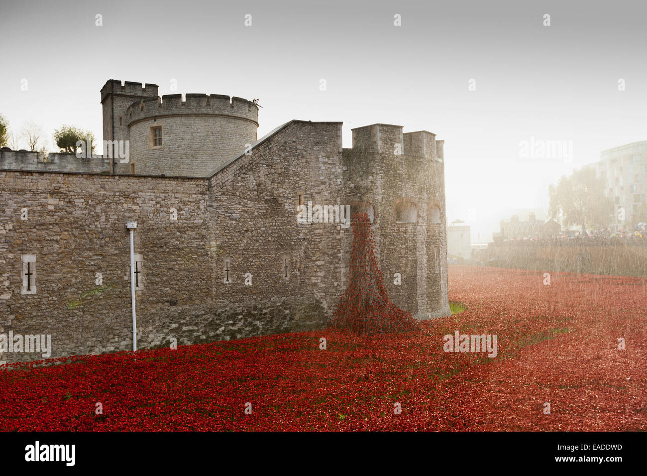 Blood Swept Lands and Seas of Red display at the Tower of London Stock ...