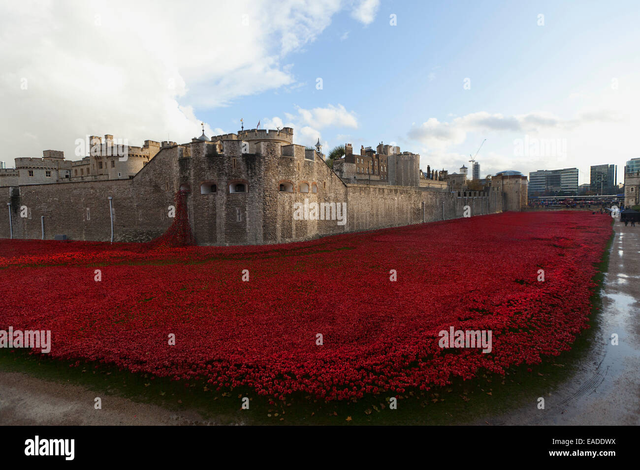 Blood Raining From The Sky