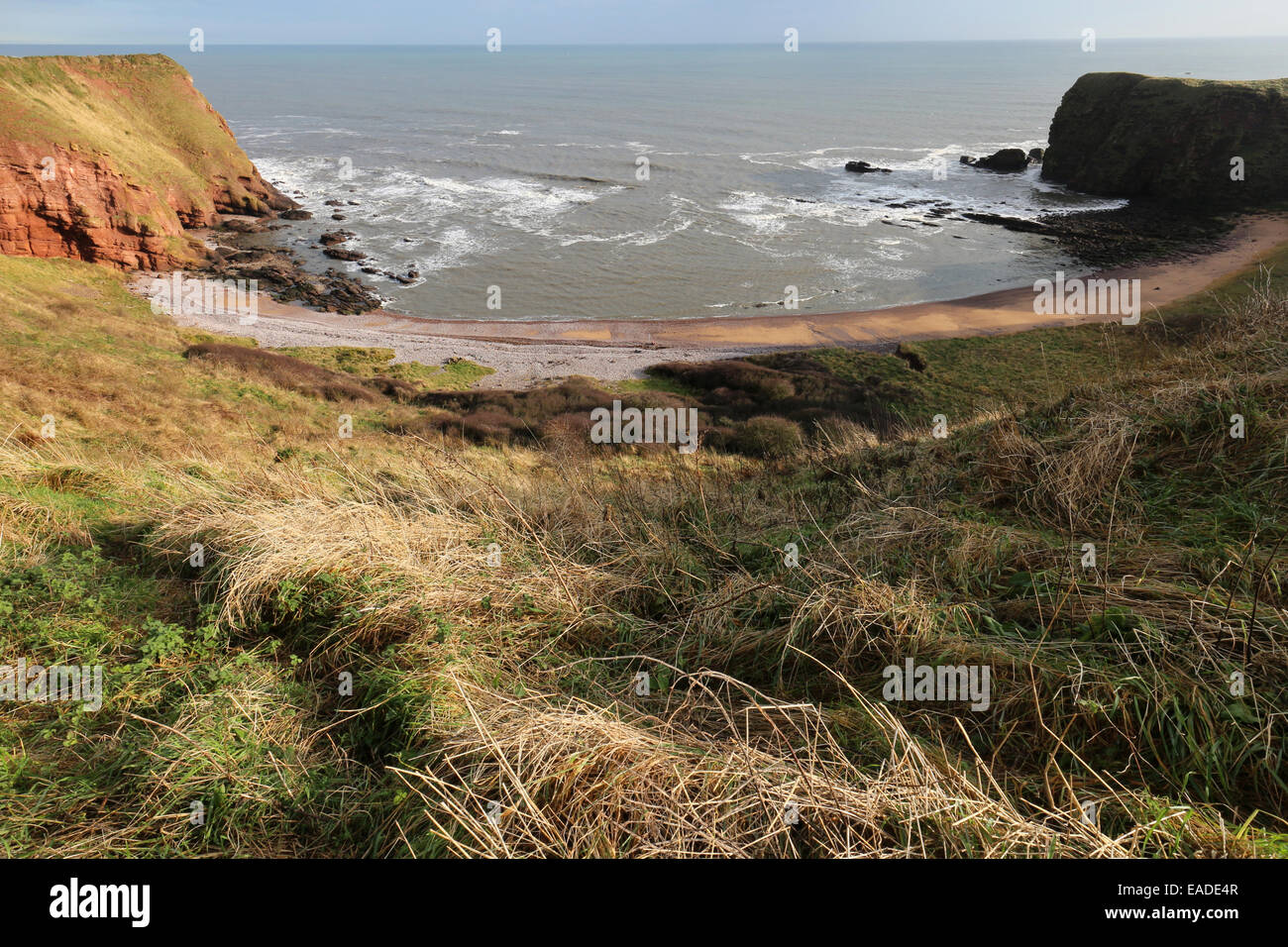 Arbroath Cliffs High Resolution Stock Photography and Images - Alamy