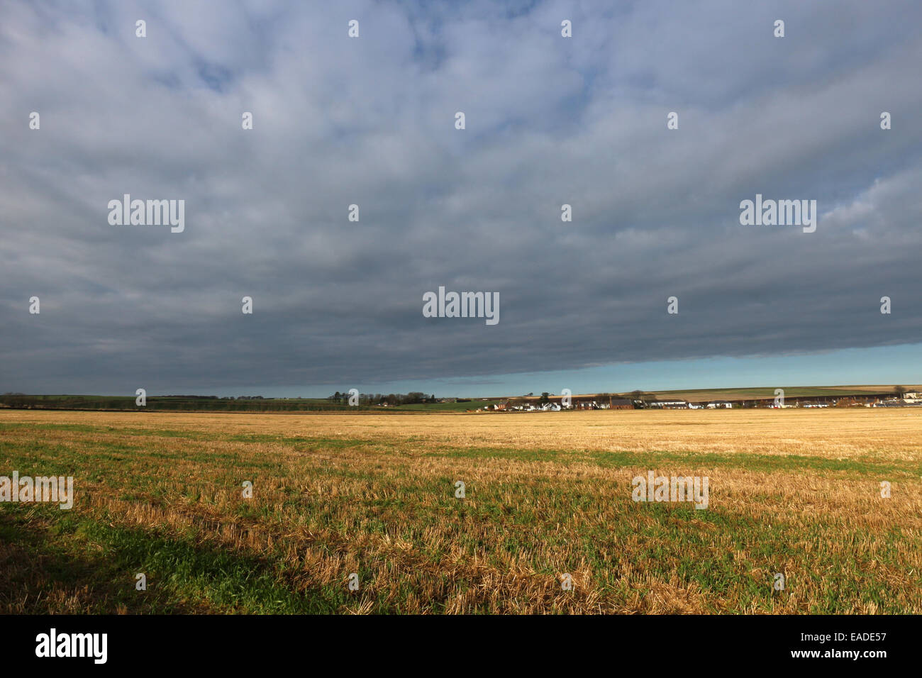 Angus coastal walk hi-res stock photography and images - Alamy