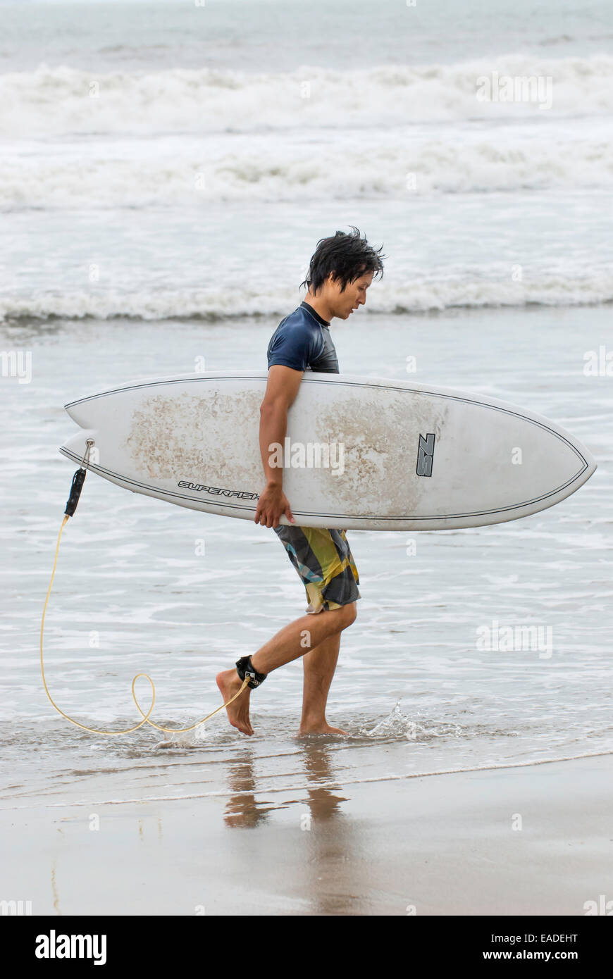 Man walking along Upper Cheung Sha beach carrying a surf board, Hong ...