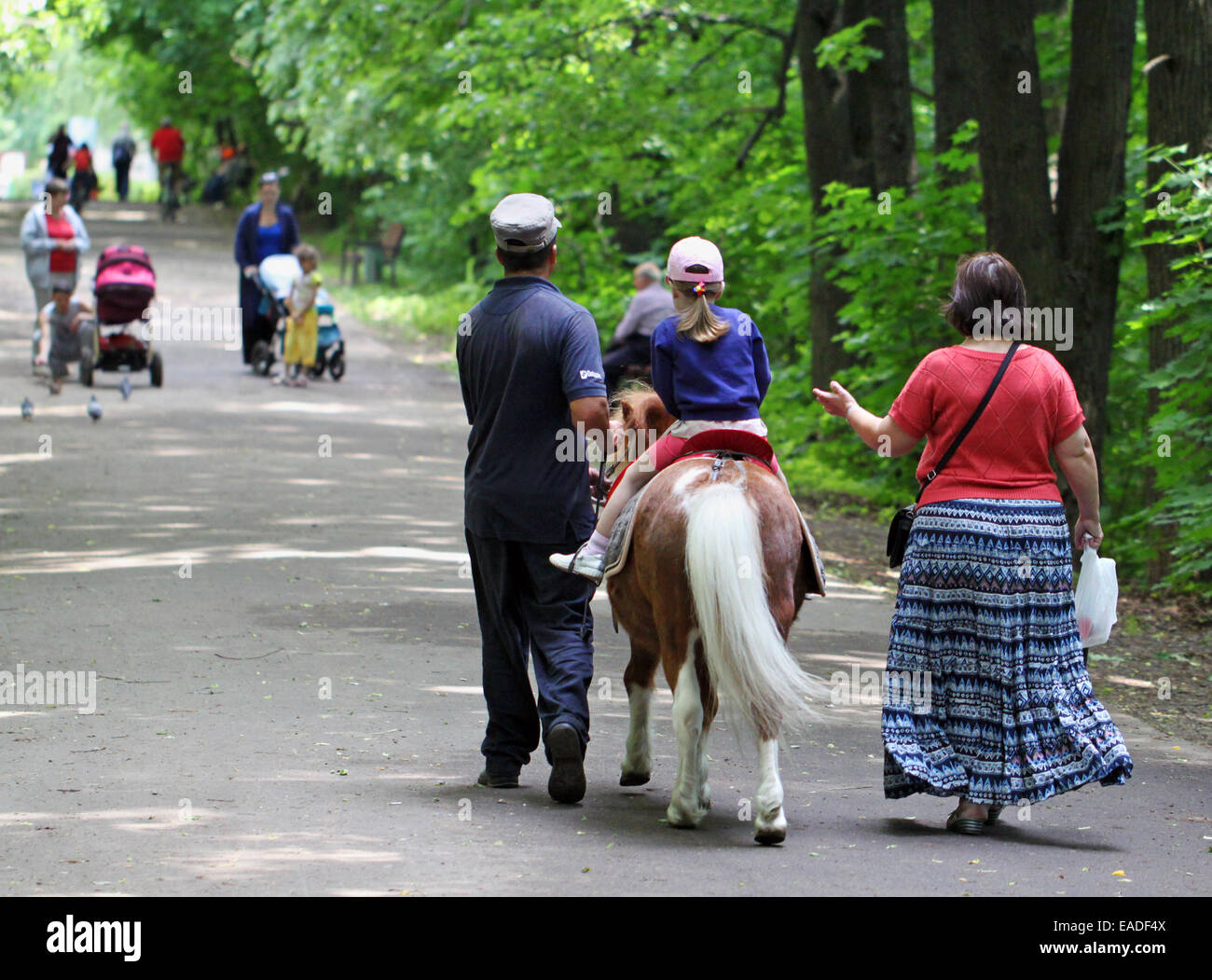beautiful horse leads the bridle girl on street Stock Photo - Alamy