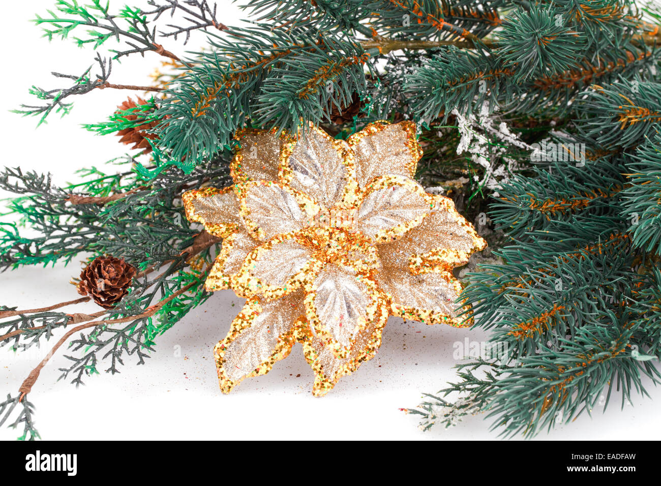 Merry gold flower tree hi-res stock photography and images - Alamy