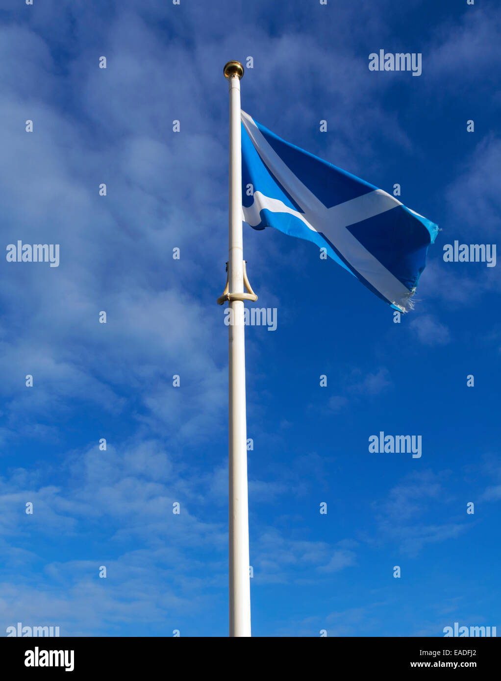 The St Andrew's cross or Scottish Saltire flag flies in the wind ...
