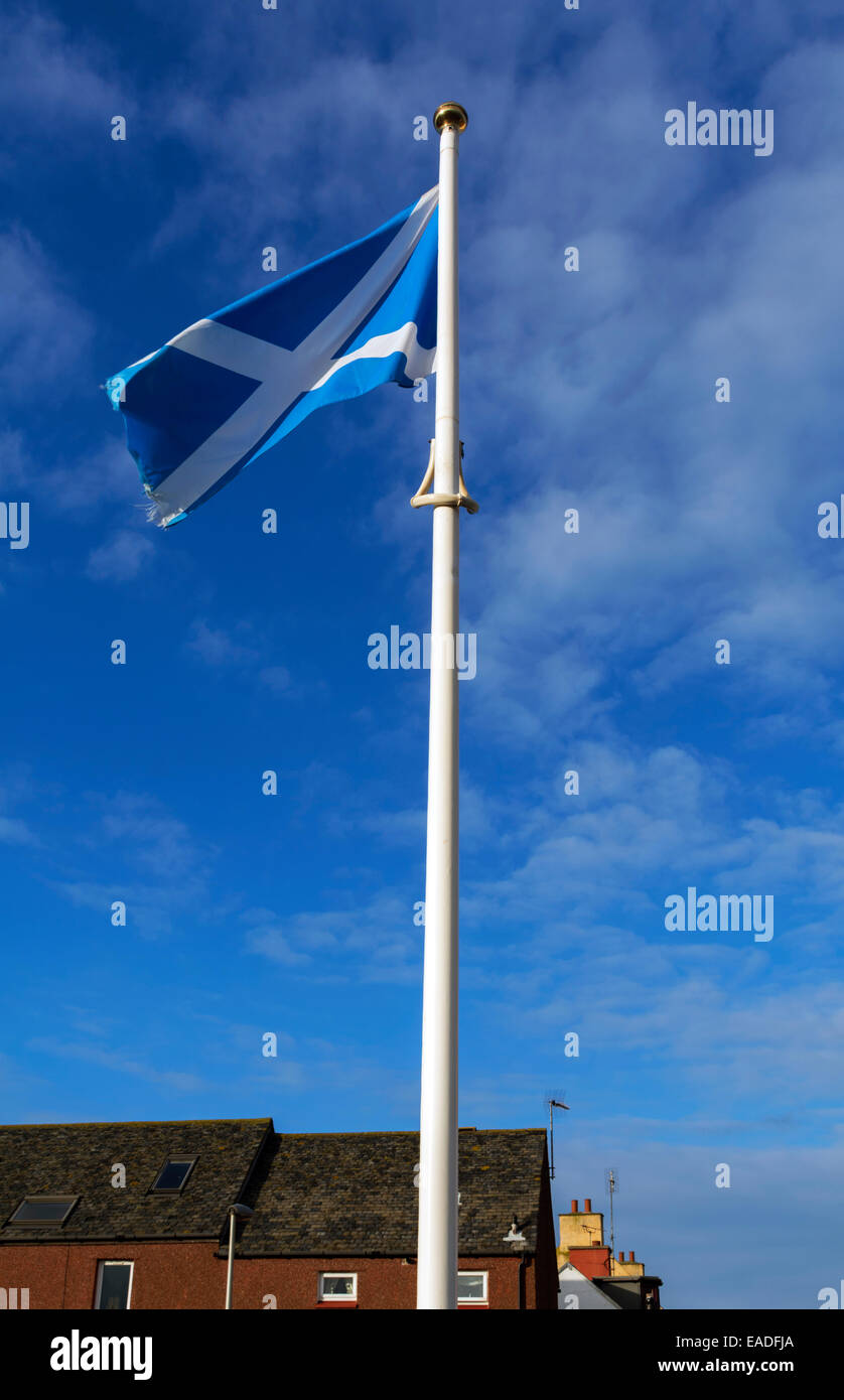 The St Andrew's cross or Scottish Saltire flag flies in the wind ...