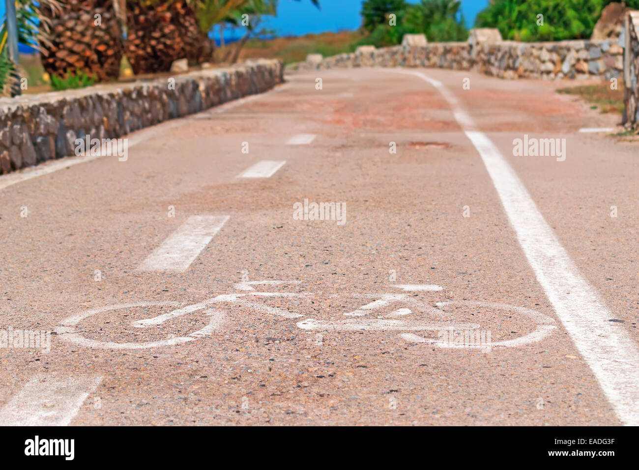 cycling path in a tropical garden Stock Photo - Alamy