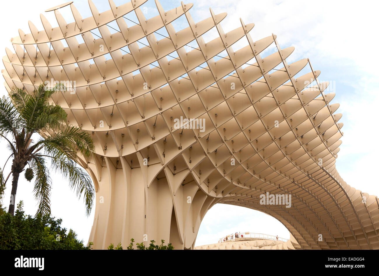 Metropol Parasol wooden structure in Plaza La Encarnación, Seville ...