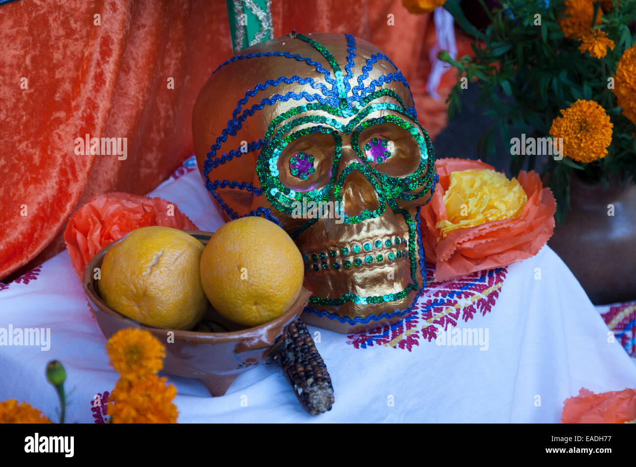 Indian Corn, with its rich array of multicolored kernels in hues of ...