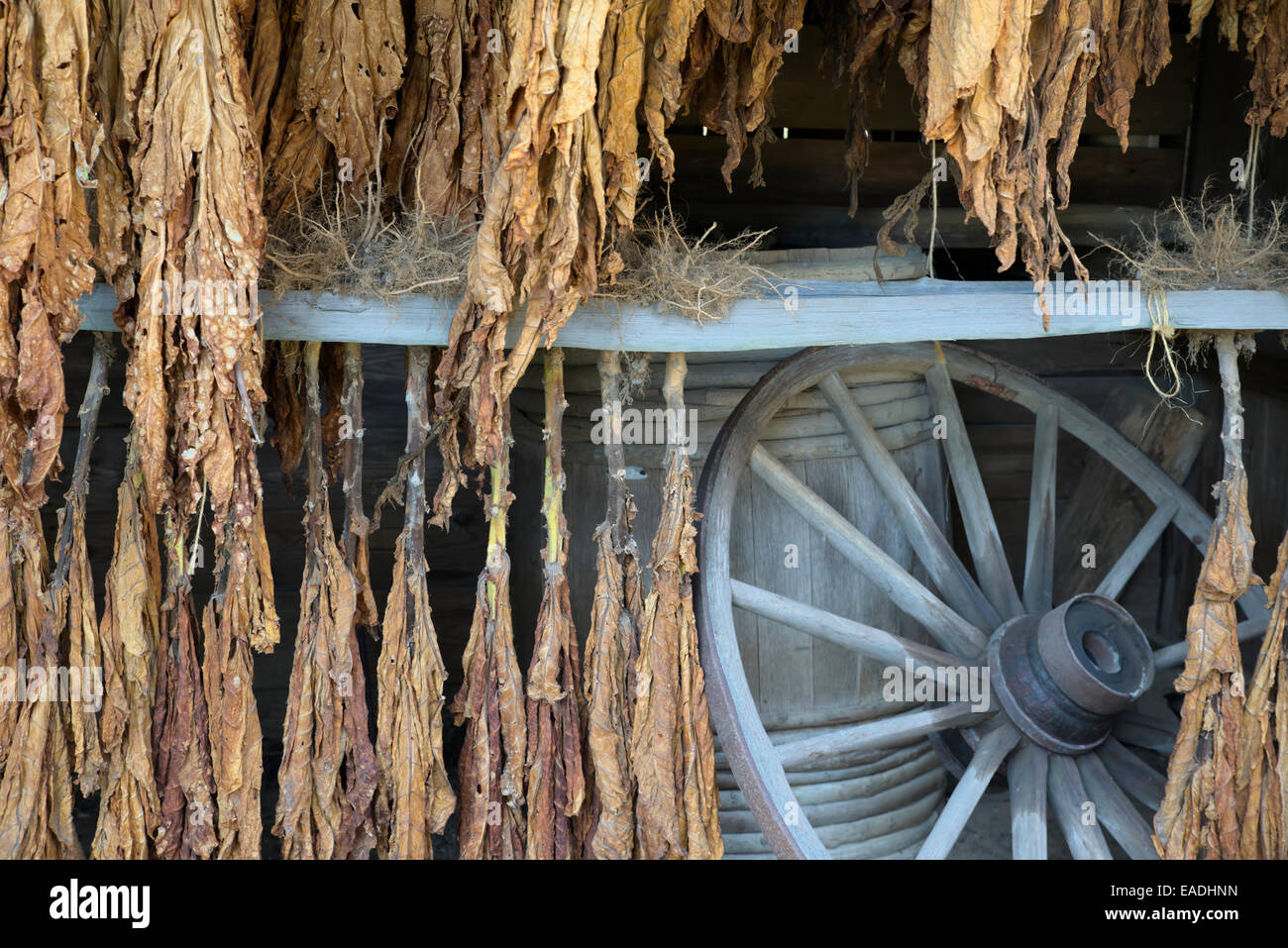 Old Tobacco Barn Stock Photo - Alamy