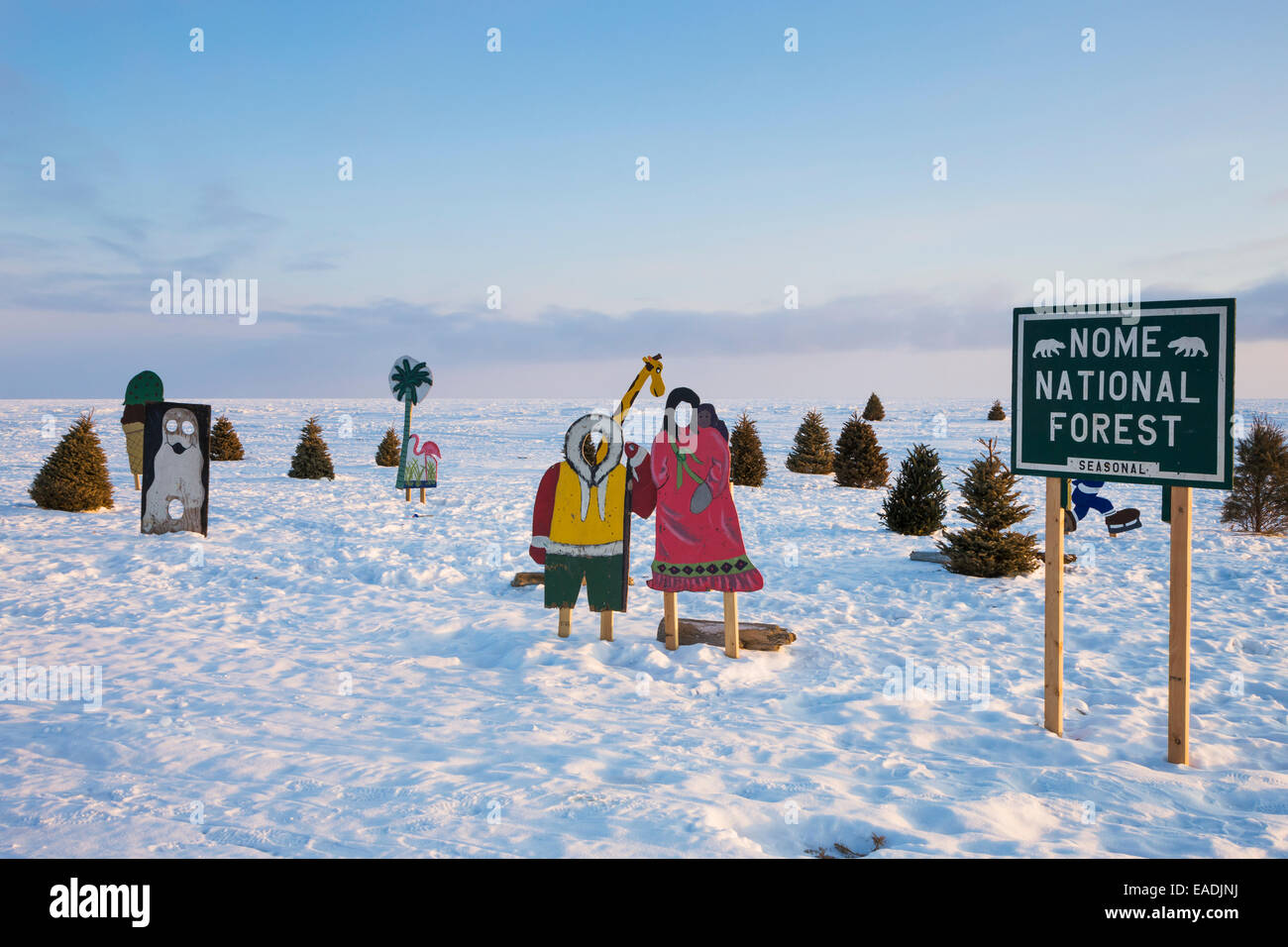 Nome national forest hi-res stock photography and images - Alamy