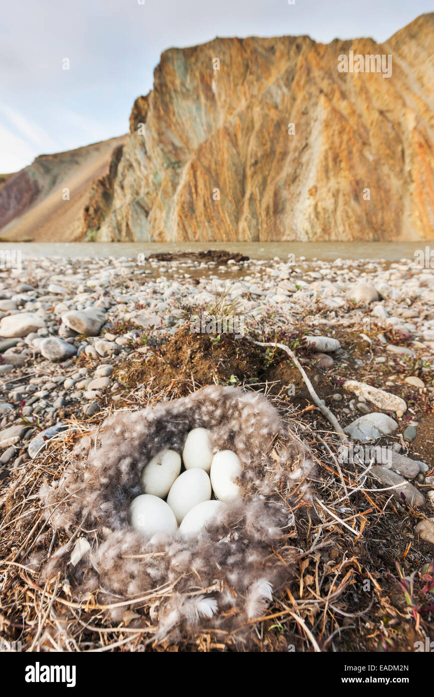 Nigu river hi-res stock photography and images - Alamy