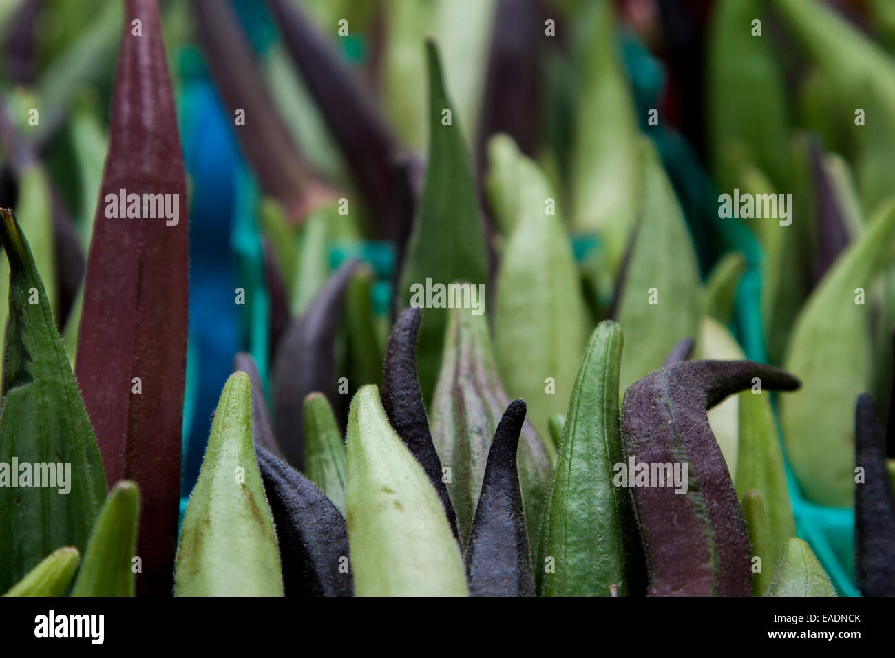 Okra market hi-res stock photography and images - Alamy