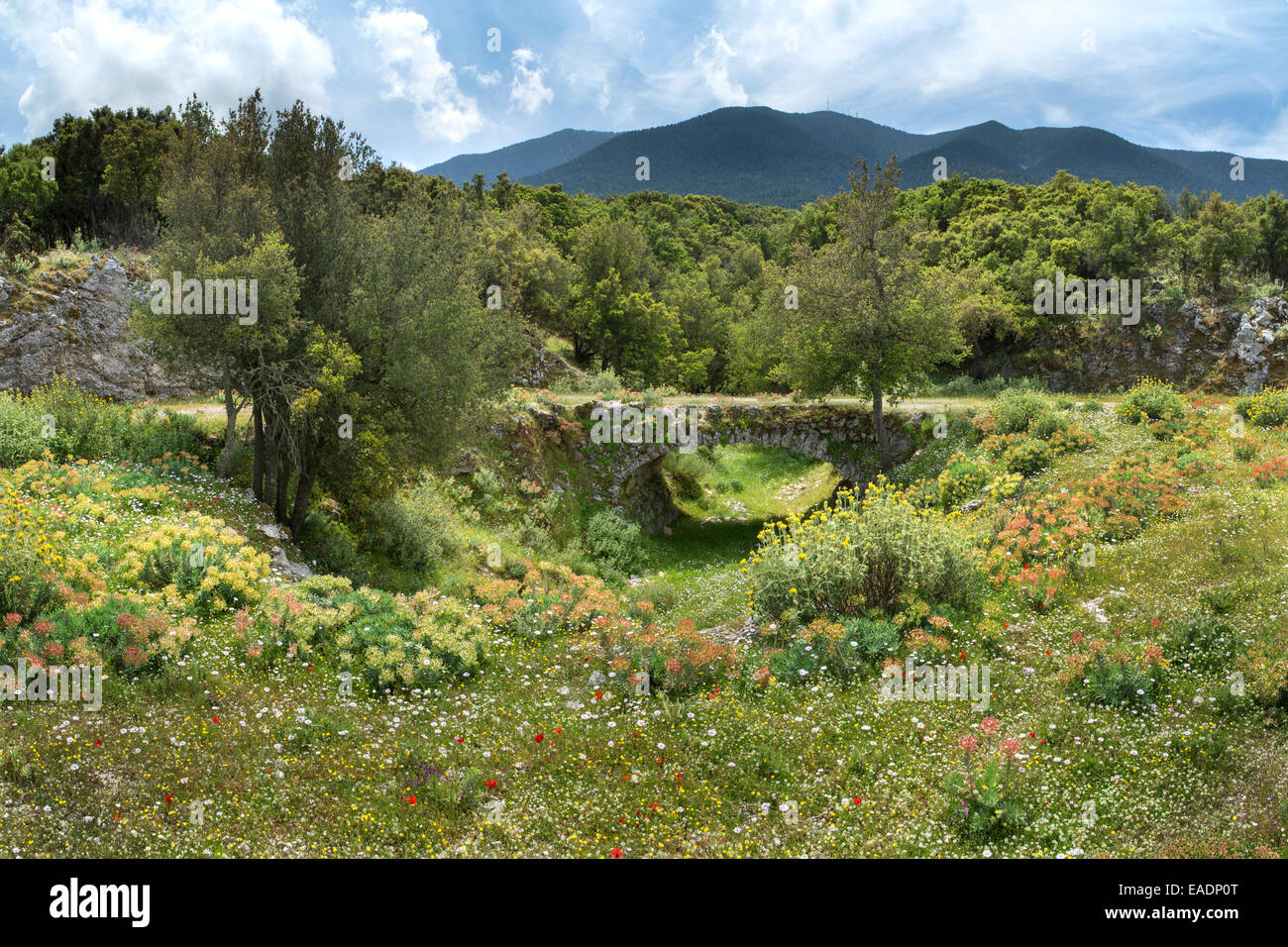 Beautiful wildflowers surround an old stone bridge near Digalet ...