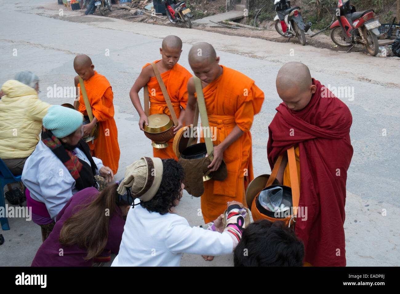 Buddhist monks very early alms walk with begging bowls to receive ...