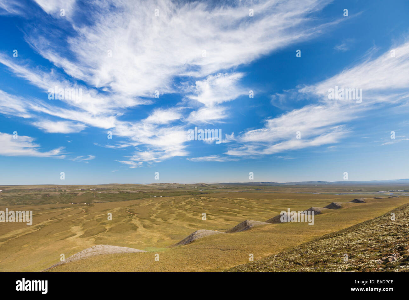 Arctic national petroleum reserve hi-res stock photography and images ...