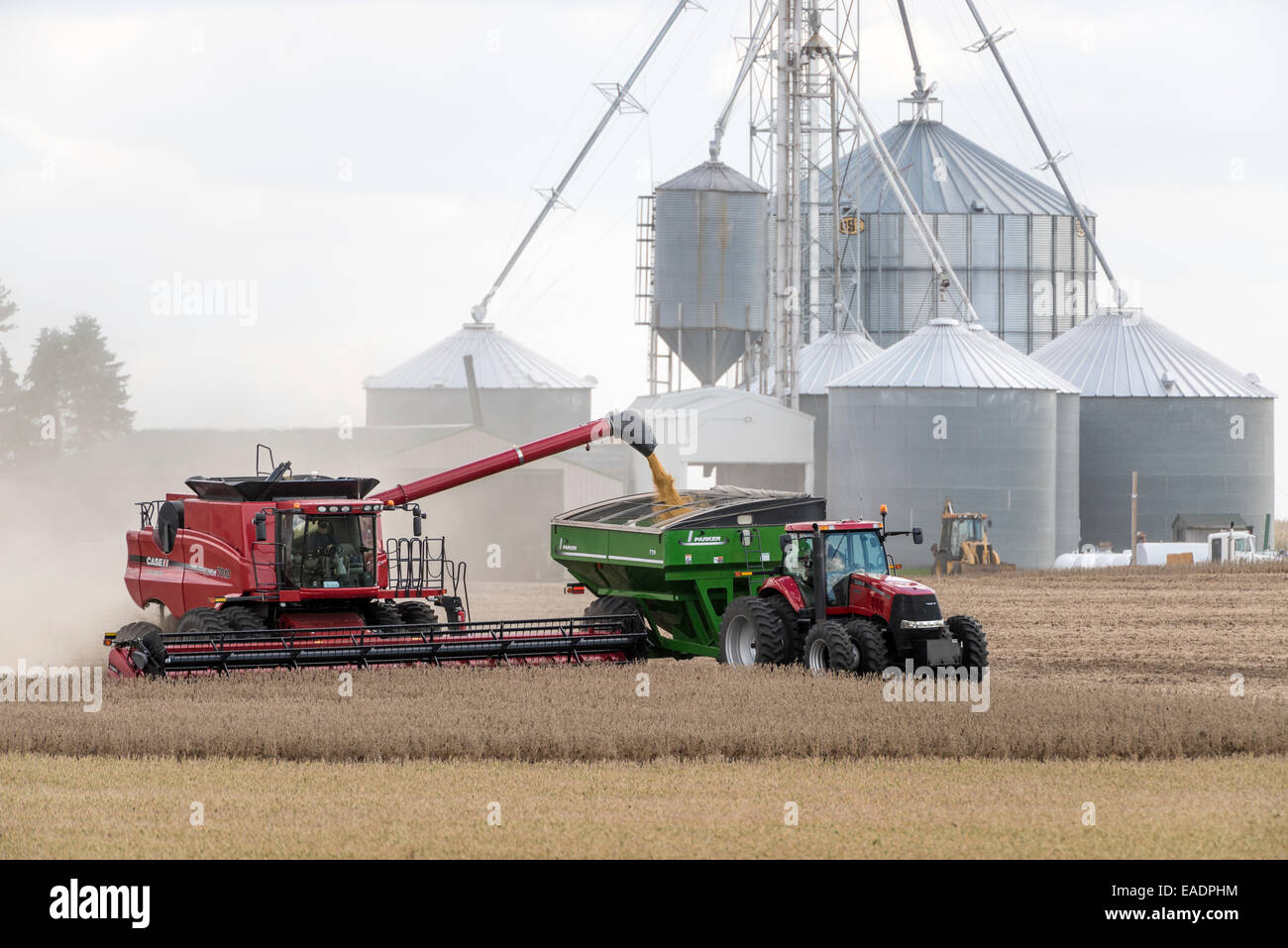 Combine harvesting soybeans in southern Minnesota Stock Photo - Alamy