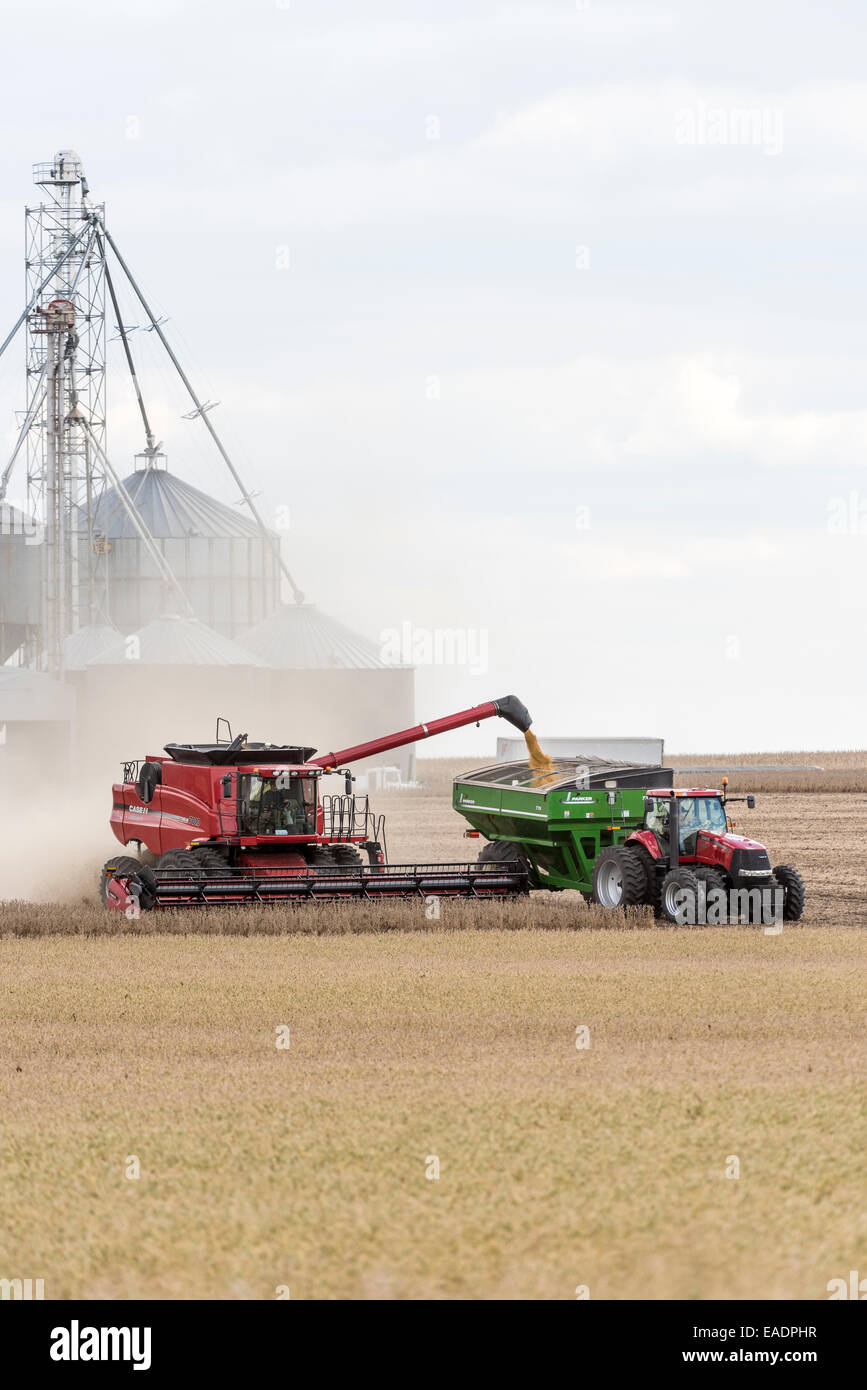 Combine harvesting soybeans in southern Minnesota Stock Photo - Alamy