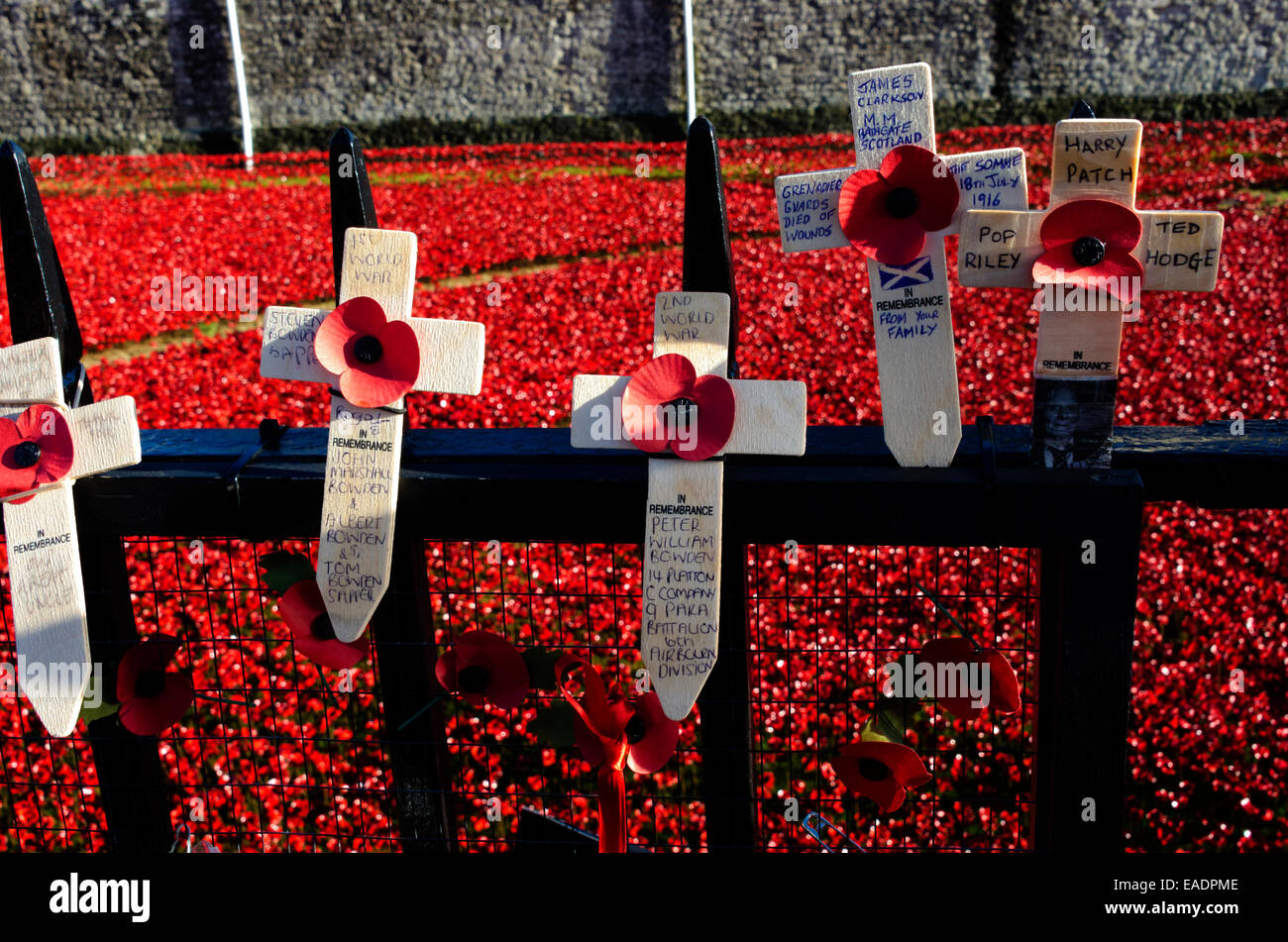 Harry patch ww1 hi-res stock photography and images - Alamy