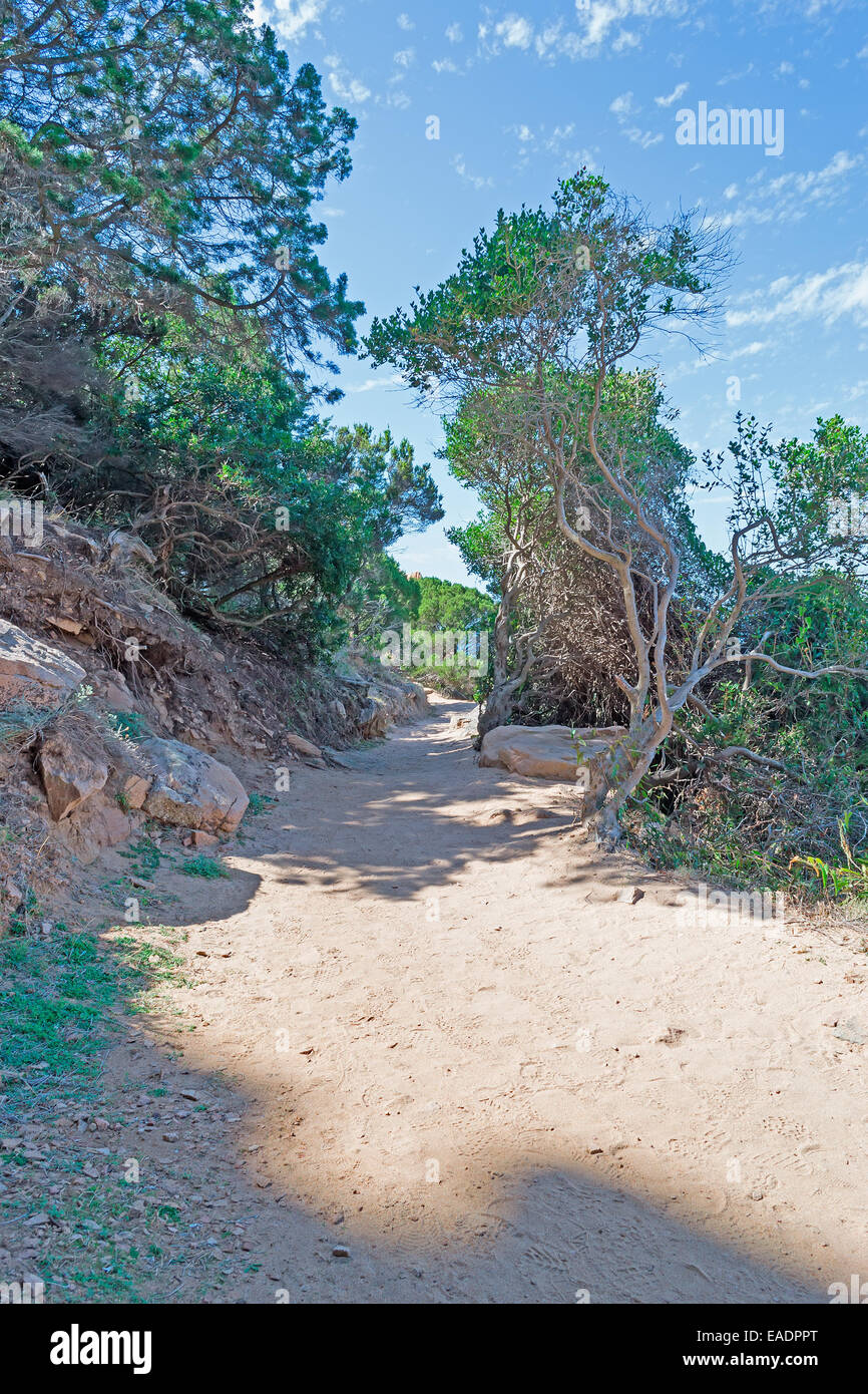 dusty path in a Sardinian park Stock Photo - Alamy