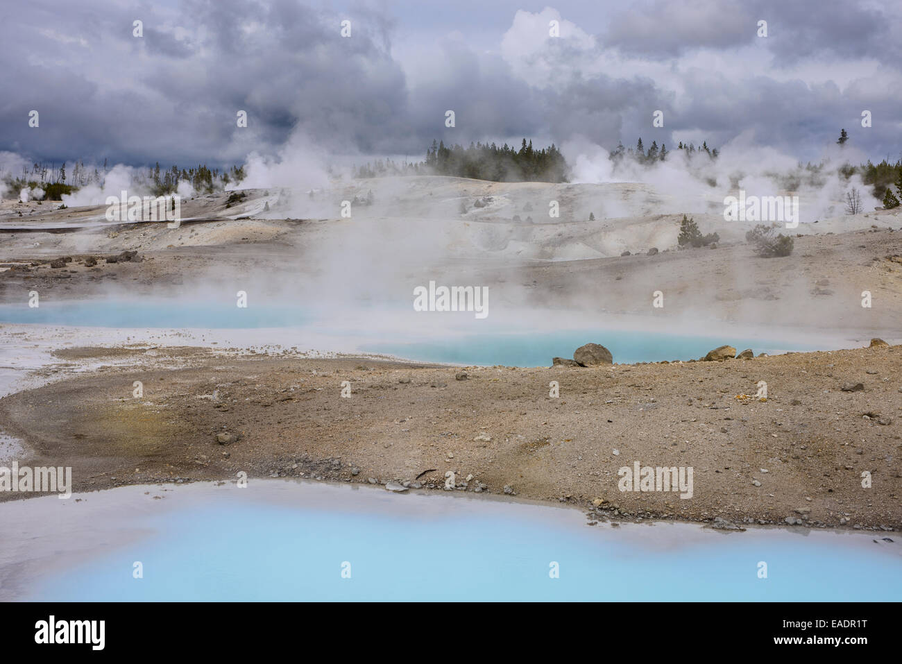 Colloidal Pool in the Porcelain Basin area of Norris Geyser Basin at ...