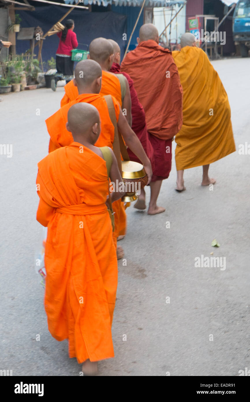 Buddhist monks very early alms walk with begging bowls to receive ...