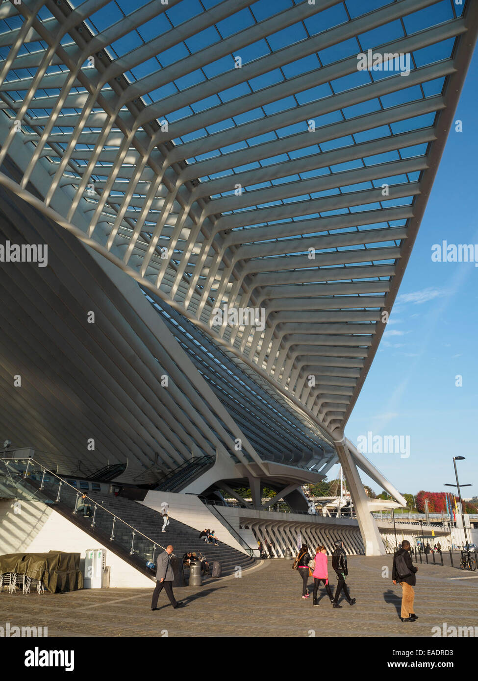 Liège-Guillemins railway station by architect Santiago Calatrava, Liège ...