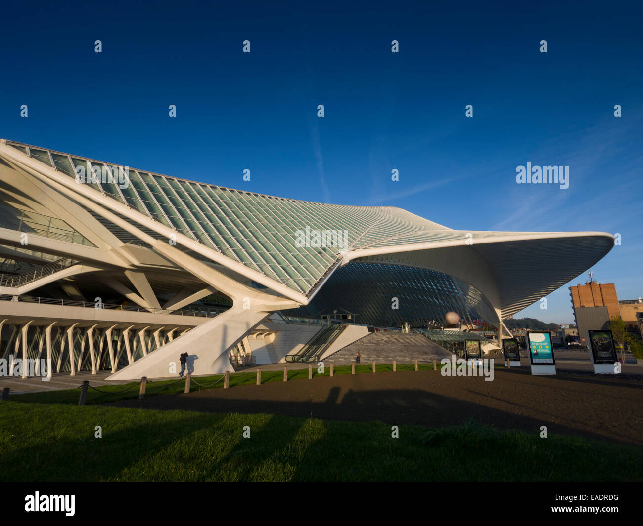 Liège-Guillemins railway station by architect Santiago Calatrava, Liège ...