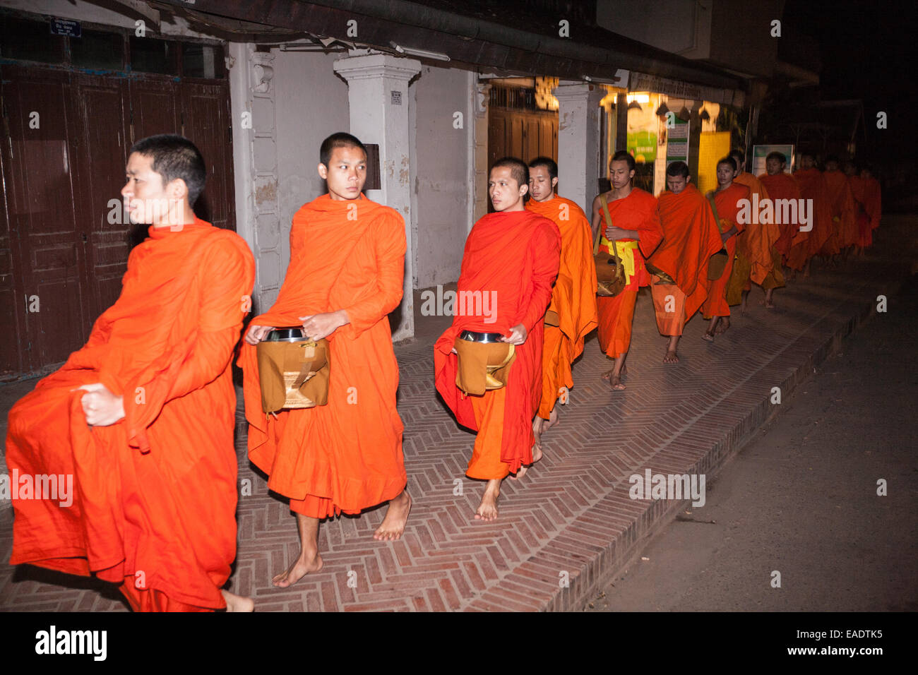 Buddhist monks on a very early alms walk with begging bowls to receive ...