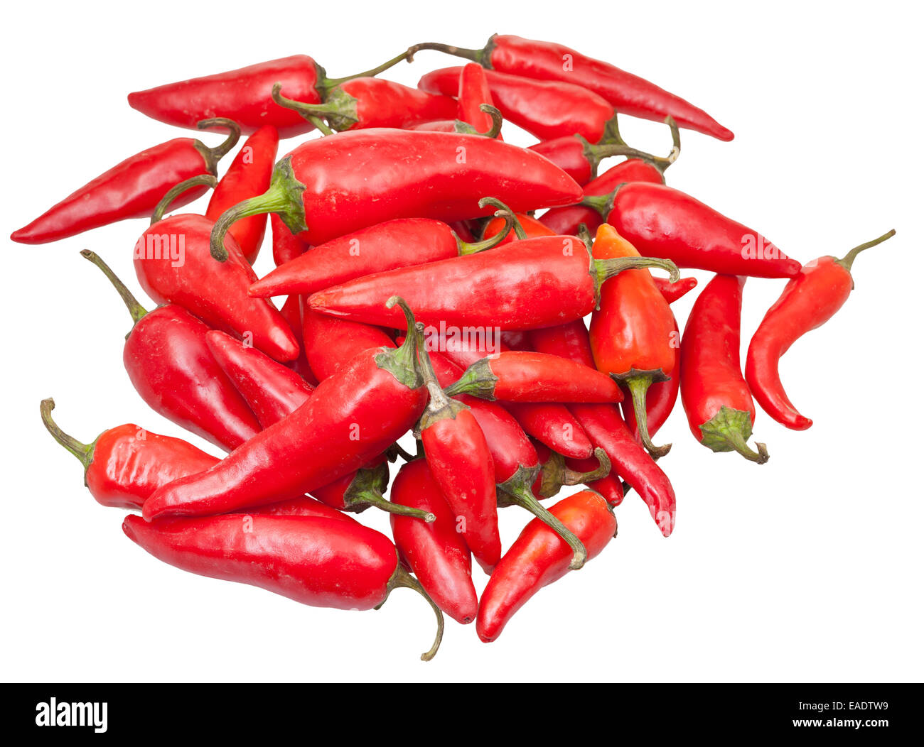 pods of fresh red chili peppers isolated on white background Stock ...