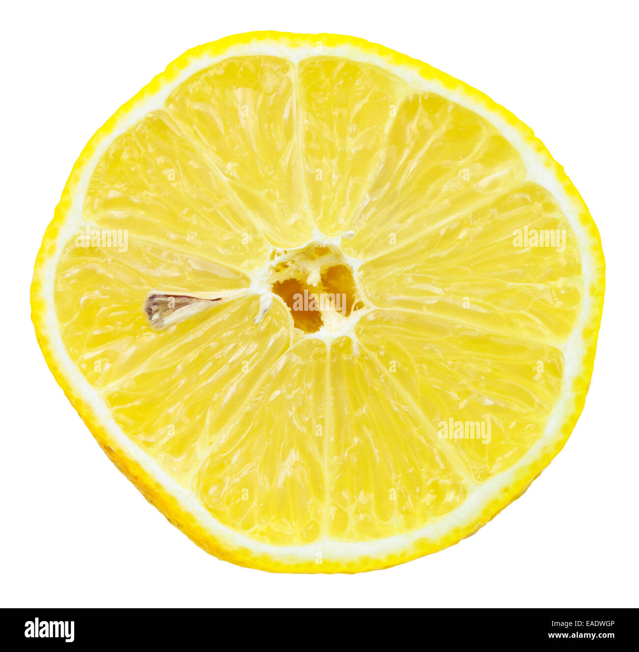 cross section of lemon isolated on white background Stock Photo - Alamy