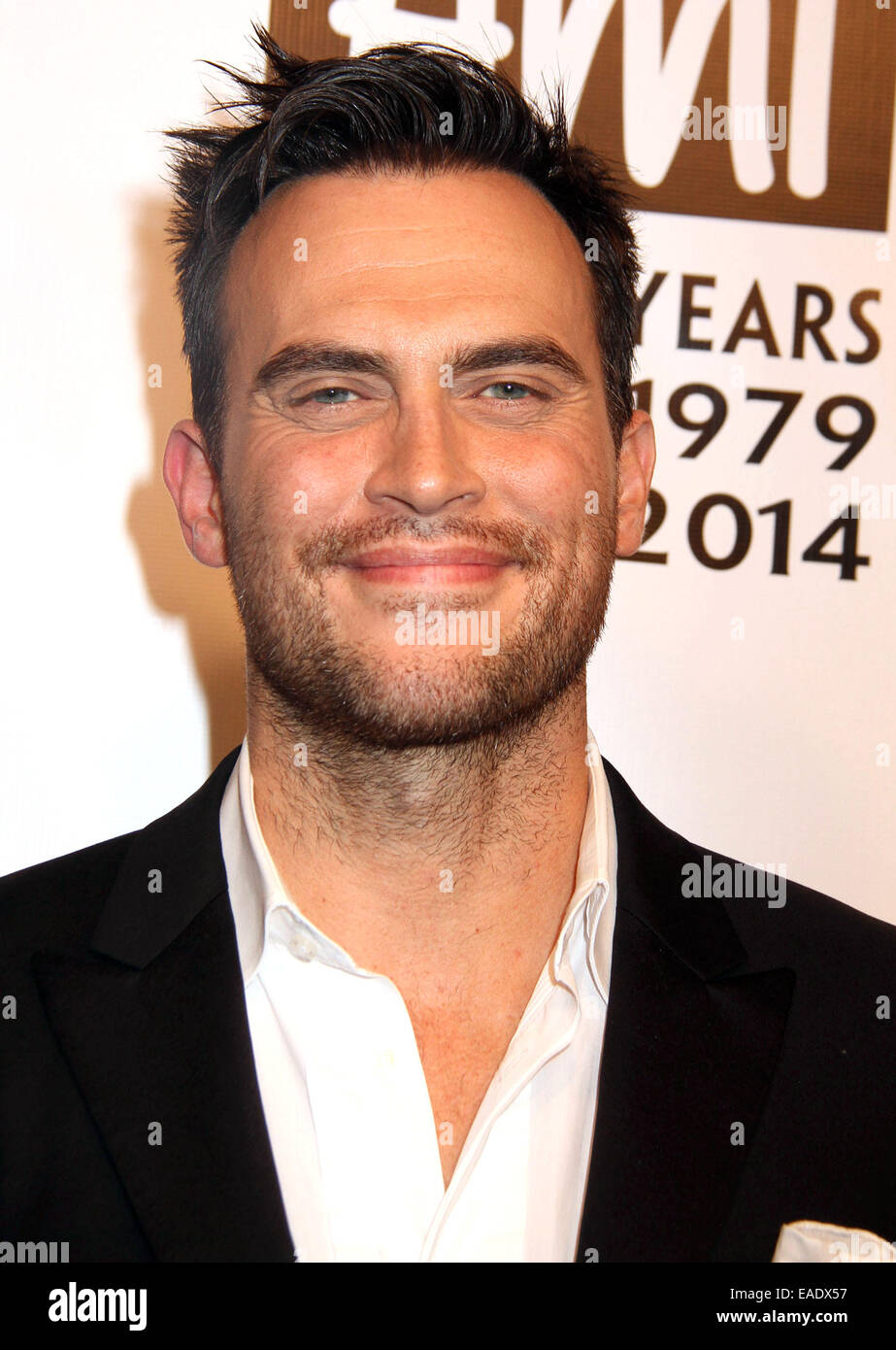 New York, New York, USA. 12th Nov, 2014. Actor CHEYENNE JACKSON attends ...