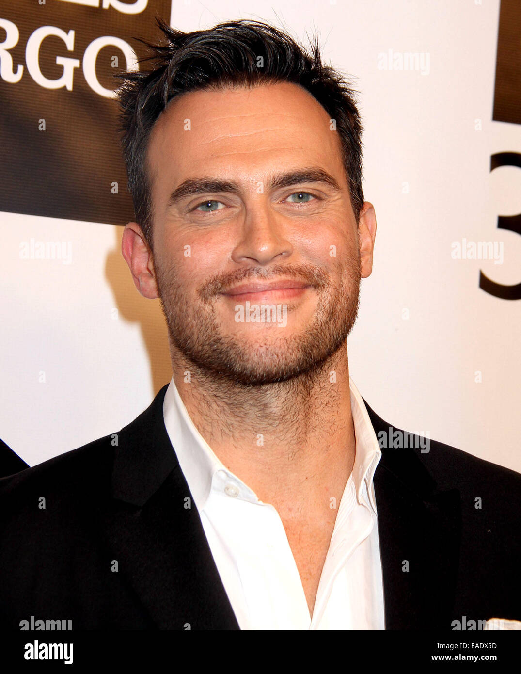 New York, New York, USA. 12th Nov, 2014. Actor CHEYENNE JACKSON attends ...
