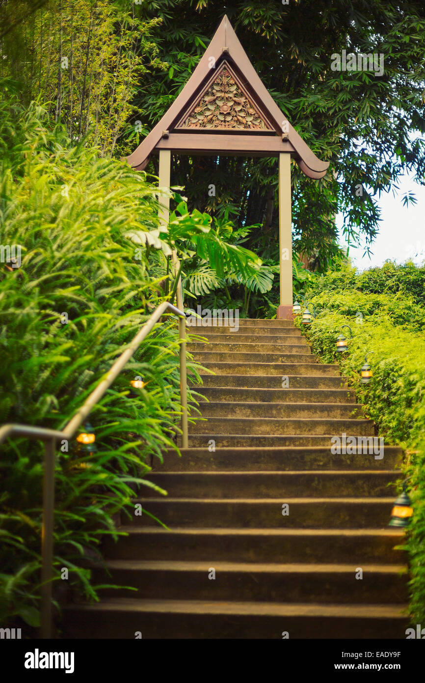 Tropical Staircase at Sunset with Zen Buddhist Arch Stock Photo - Alamy