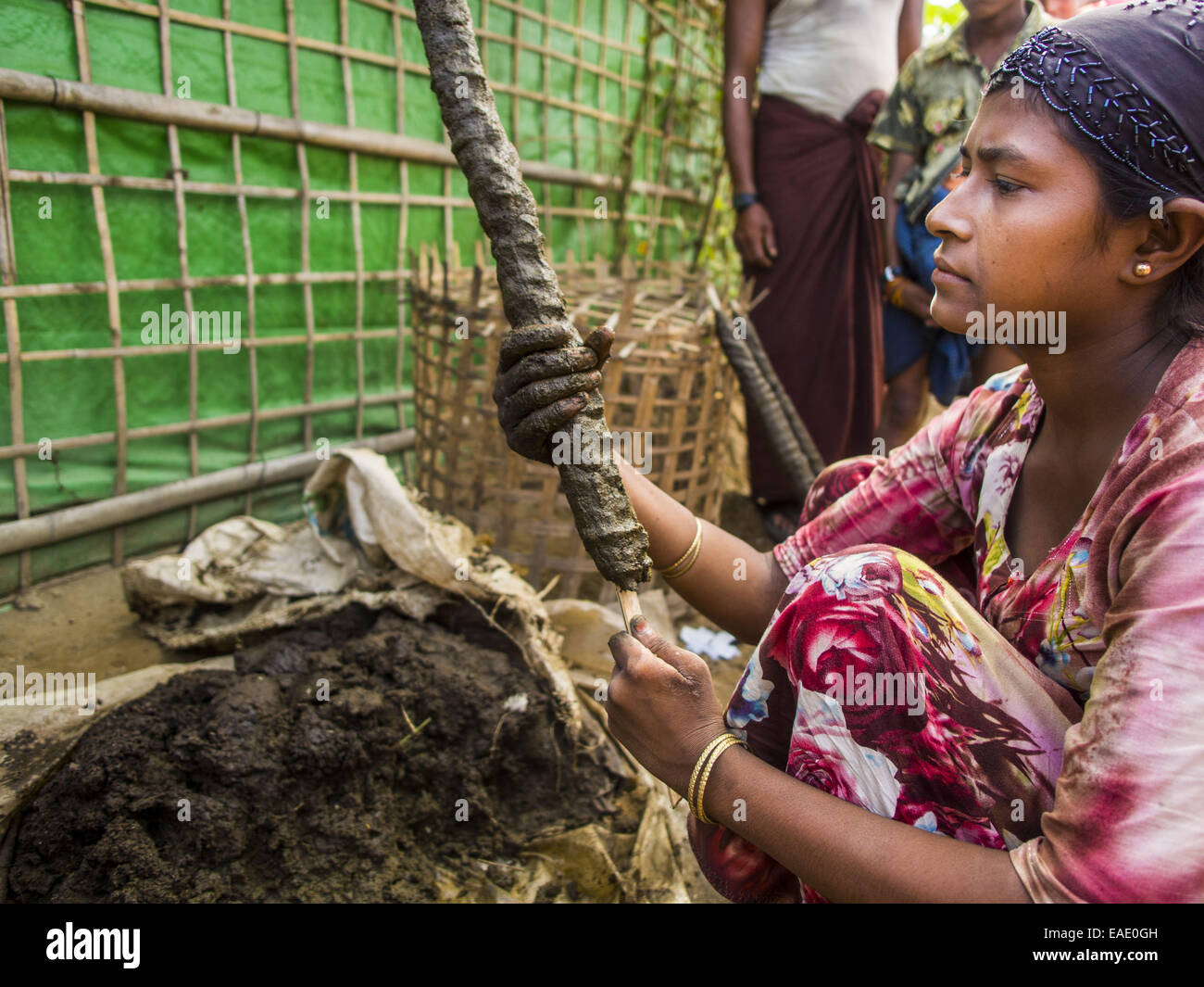 Woman bangladesh cow hi-res stock photography and images - Alamy