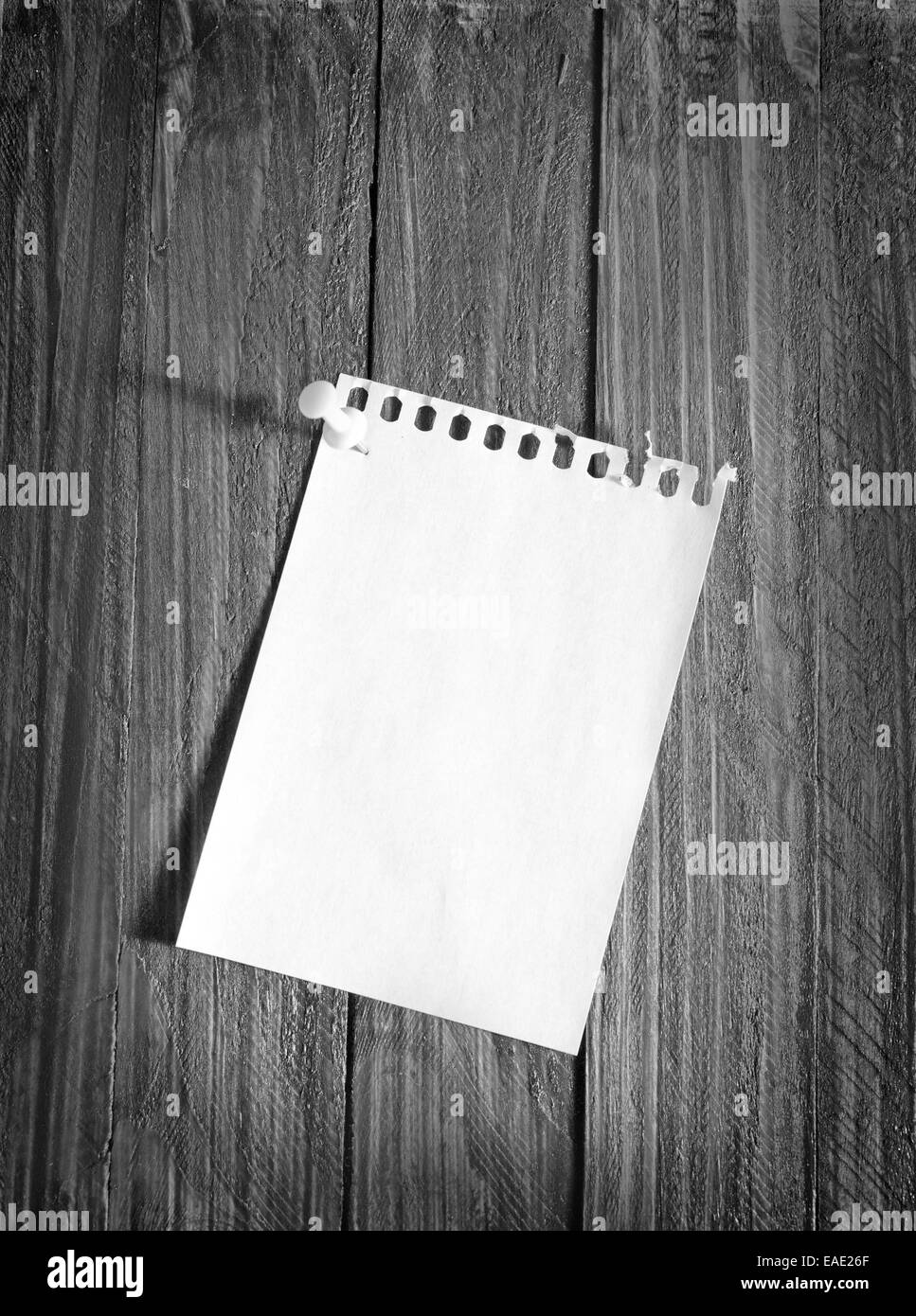 sheets for note Stock Photo - Alamy