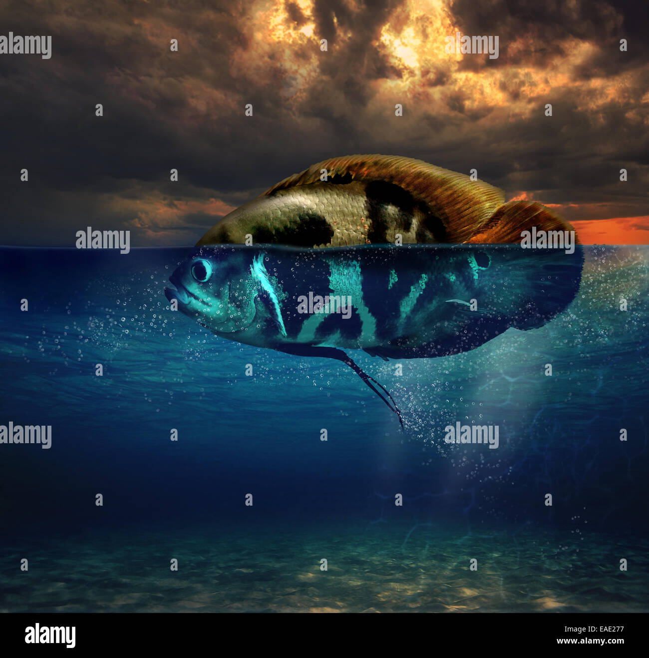 Underwater scene.Surreal landscape concept, fish swimming in blue sea ...