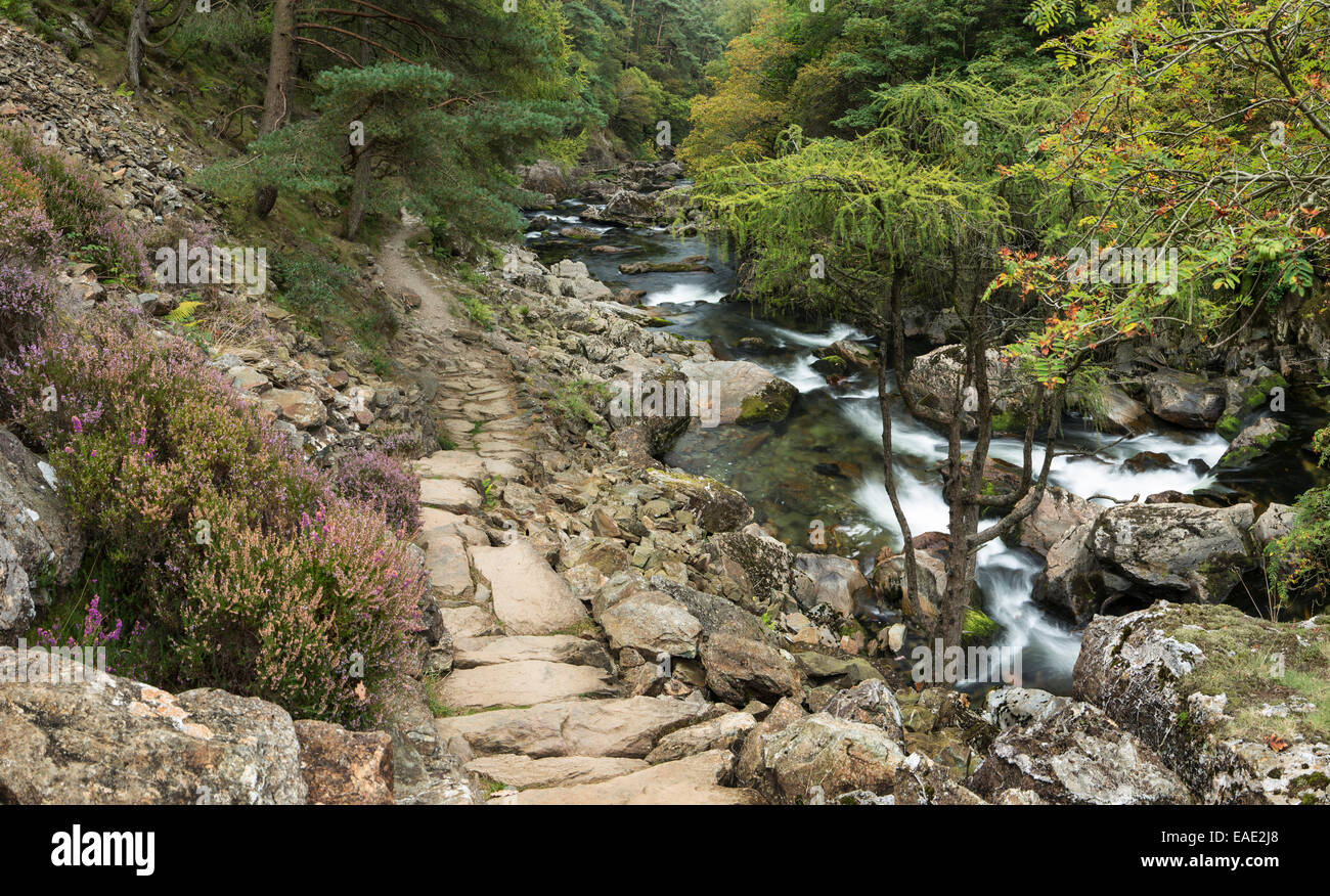 The a stone path lines the river Glaslyn as it flows between the trees ...