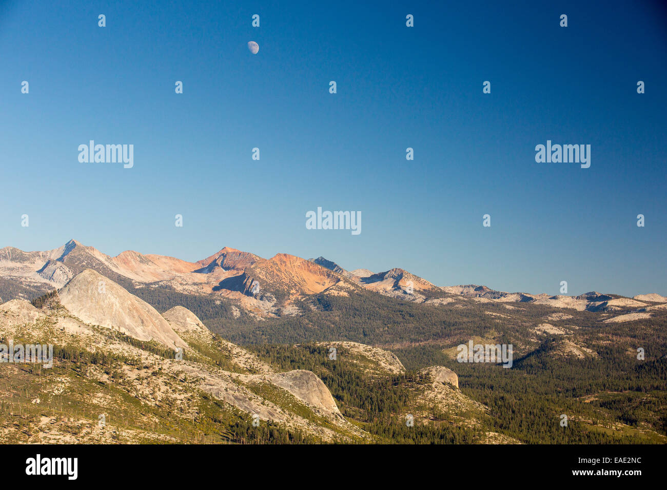 Sentinel Mountain Trail High Resolution Stock Photography and Images ...