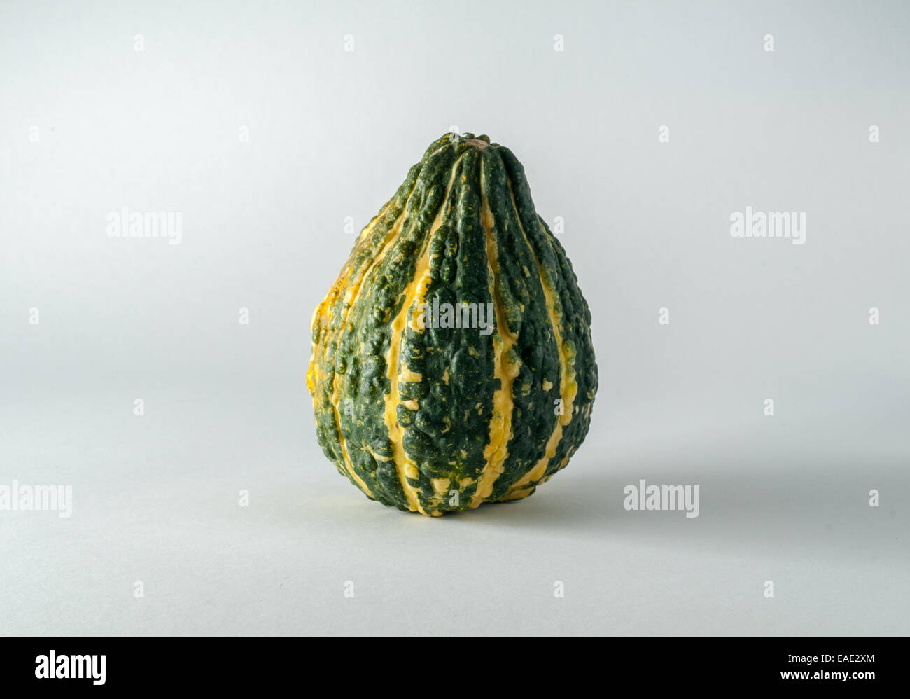 Fall gourd isolated on plain background Stock Photo - Alamy