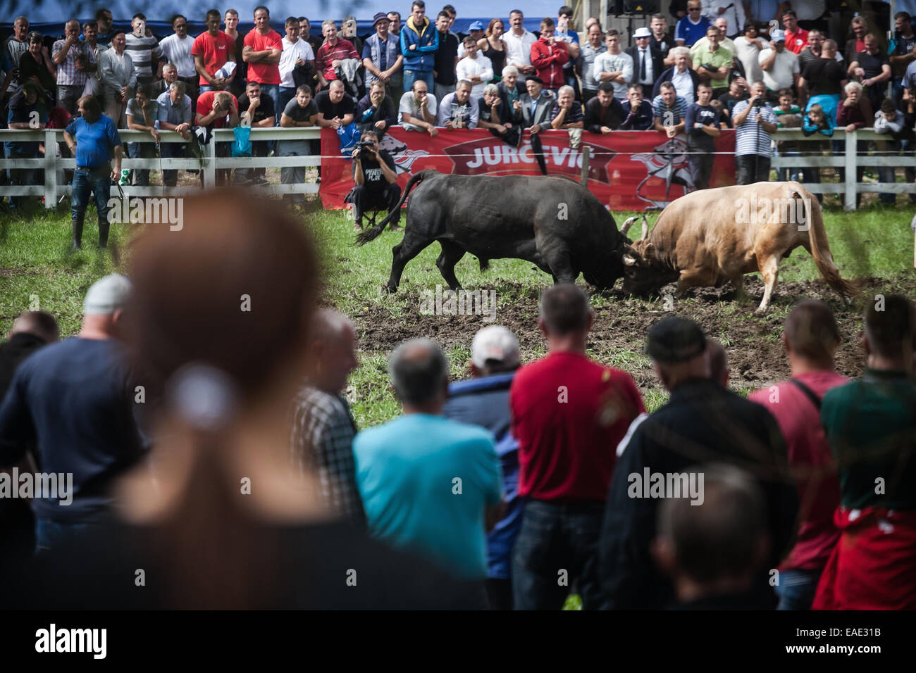 Vitez hi-res stock photography and images - Alamy