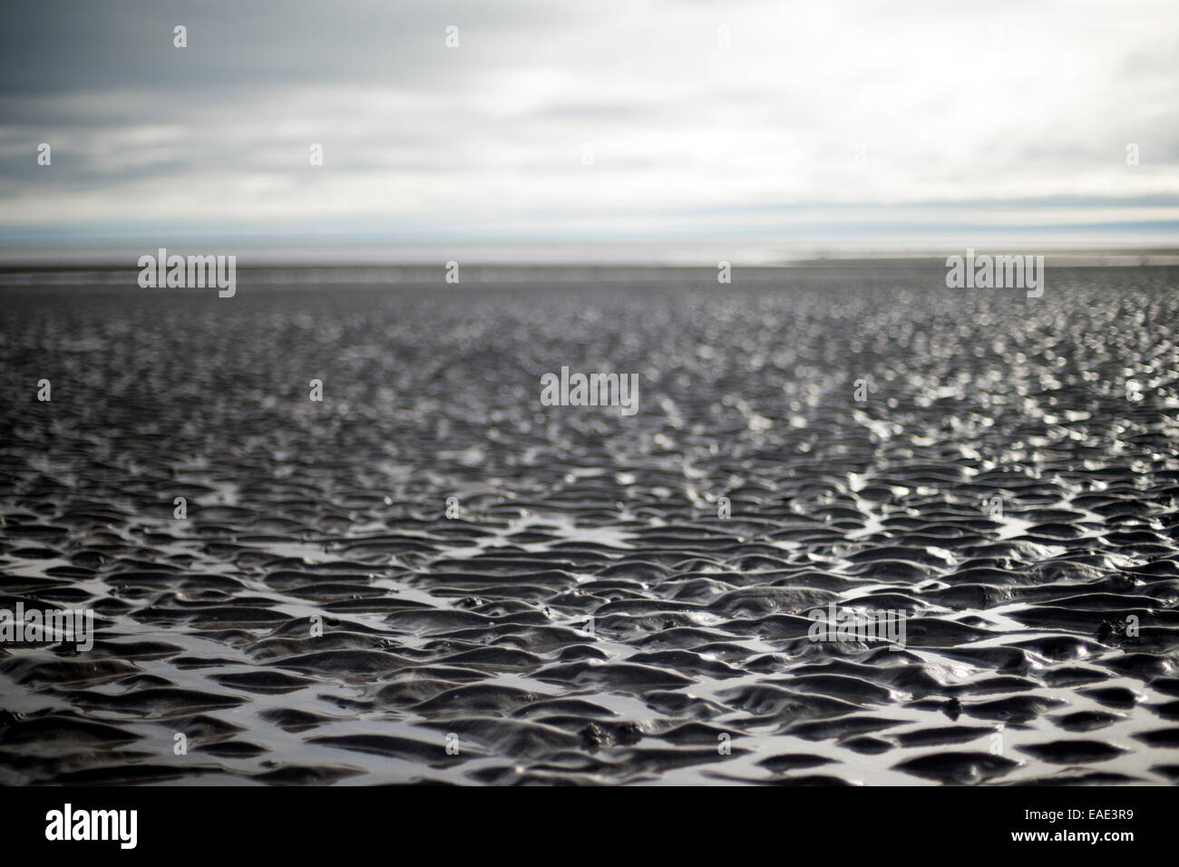 Wet edge hi-res stock photography and images - Alamy