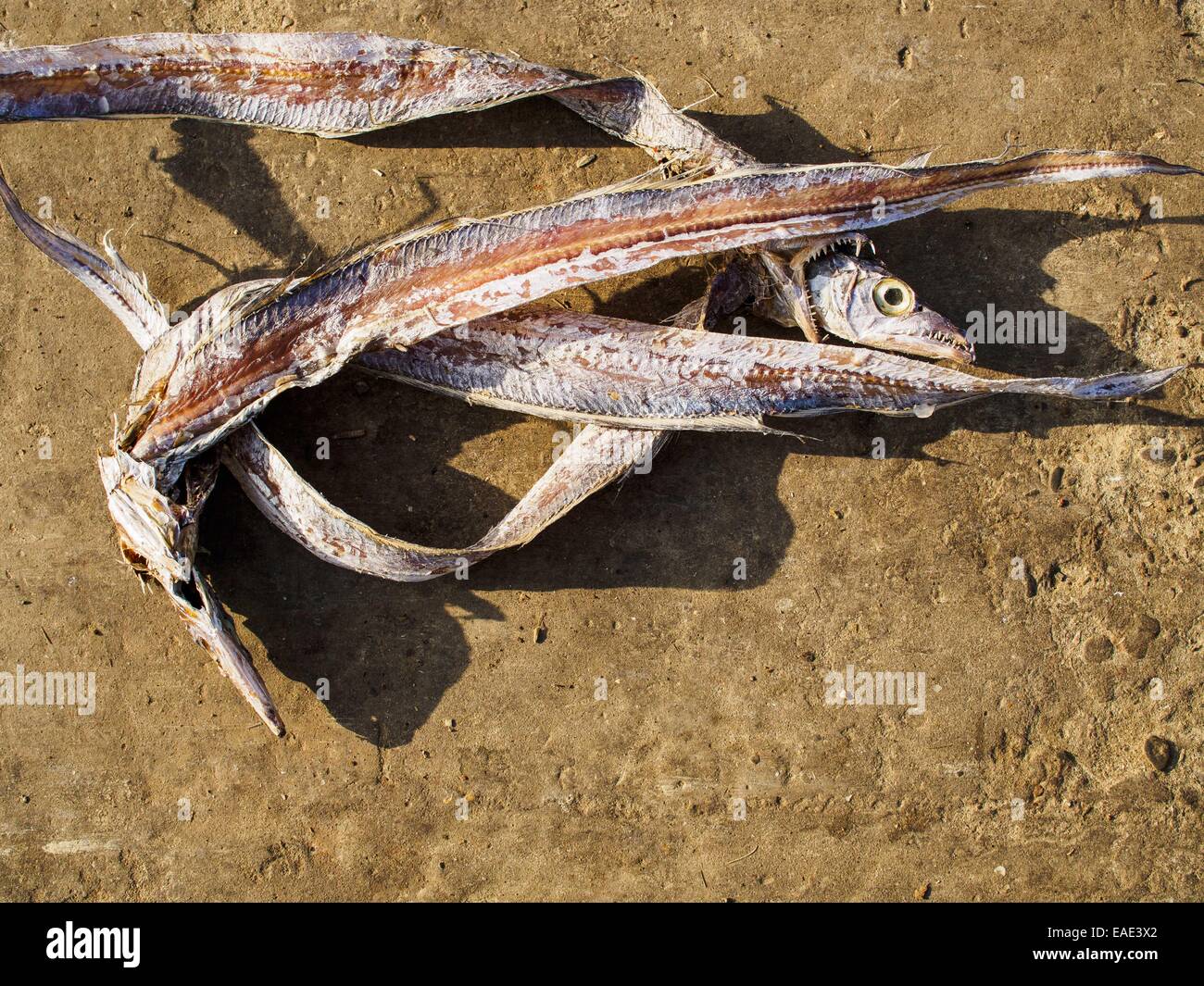 Myanmar dry fish market hi-res stock photography and images - Alamy