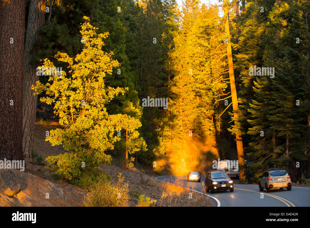 Car california road trip hi-res stock photography and images - Alamy
