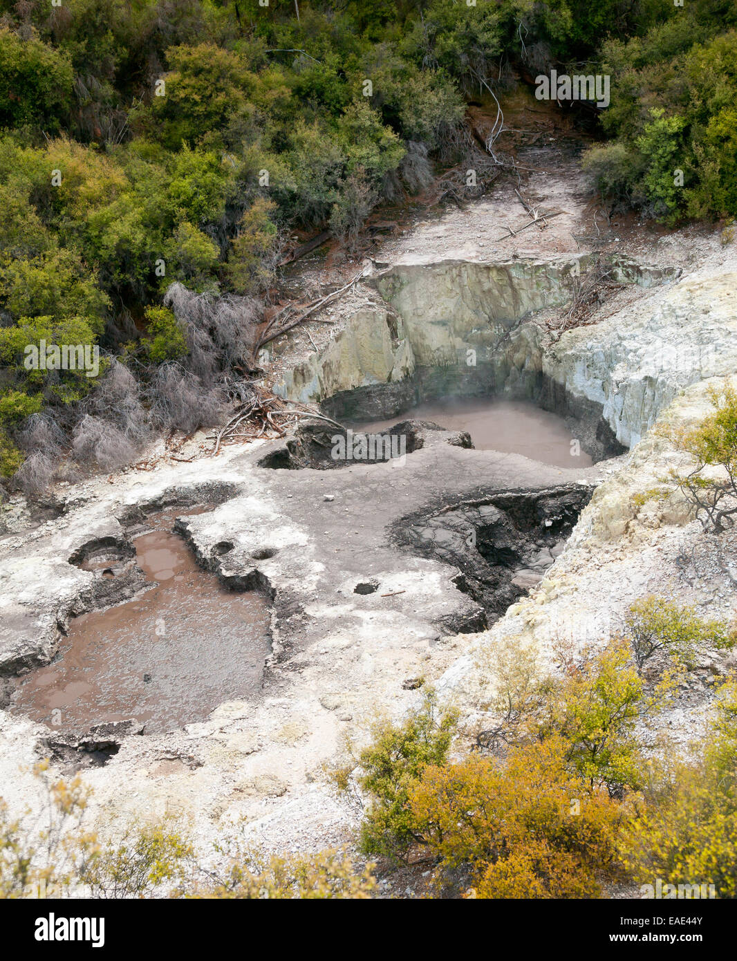 Devil's Ink Pots pools at Wai-O-Tapu geothermal area in New Zealand ...