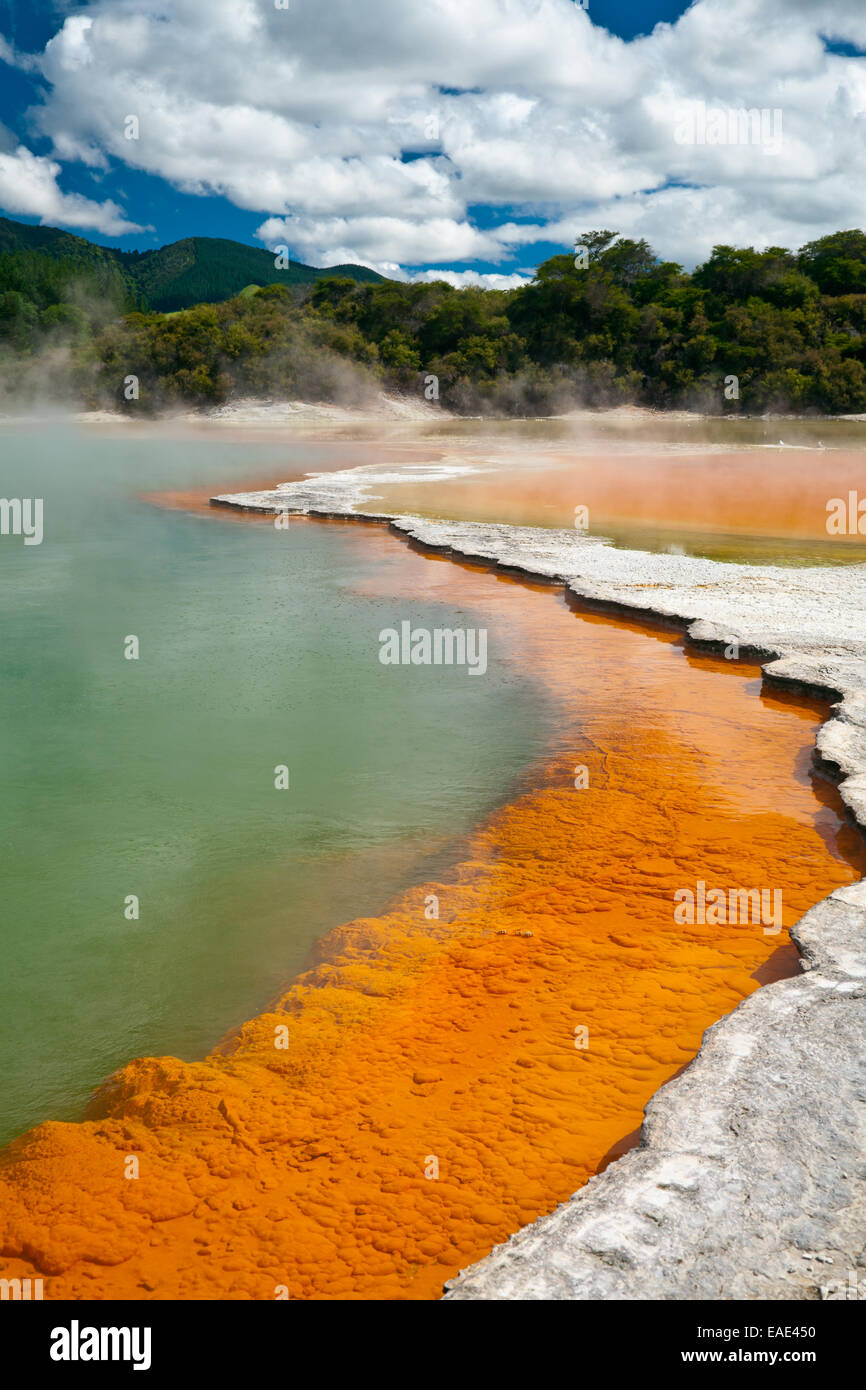 Champagne Pool at Wai-O-Tapu geothermal area in New Zealand Stock Photo ...