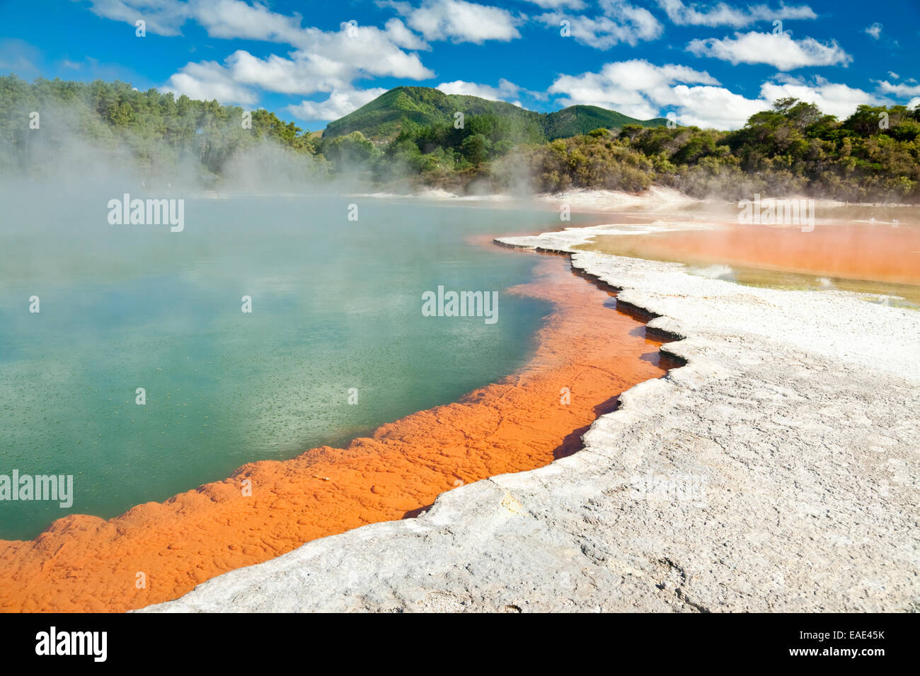 Edge champagne pool wai hi-res stock photography and images - Alamy