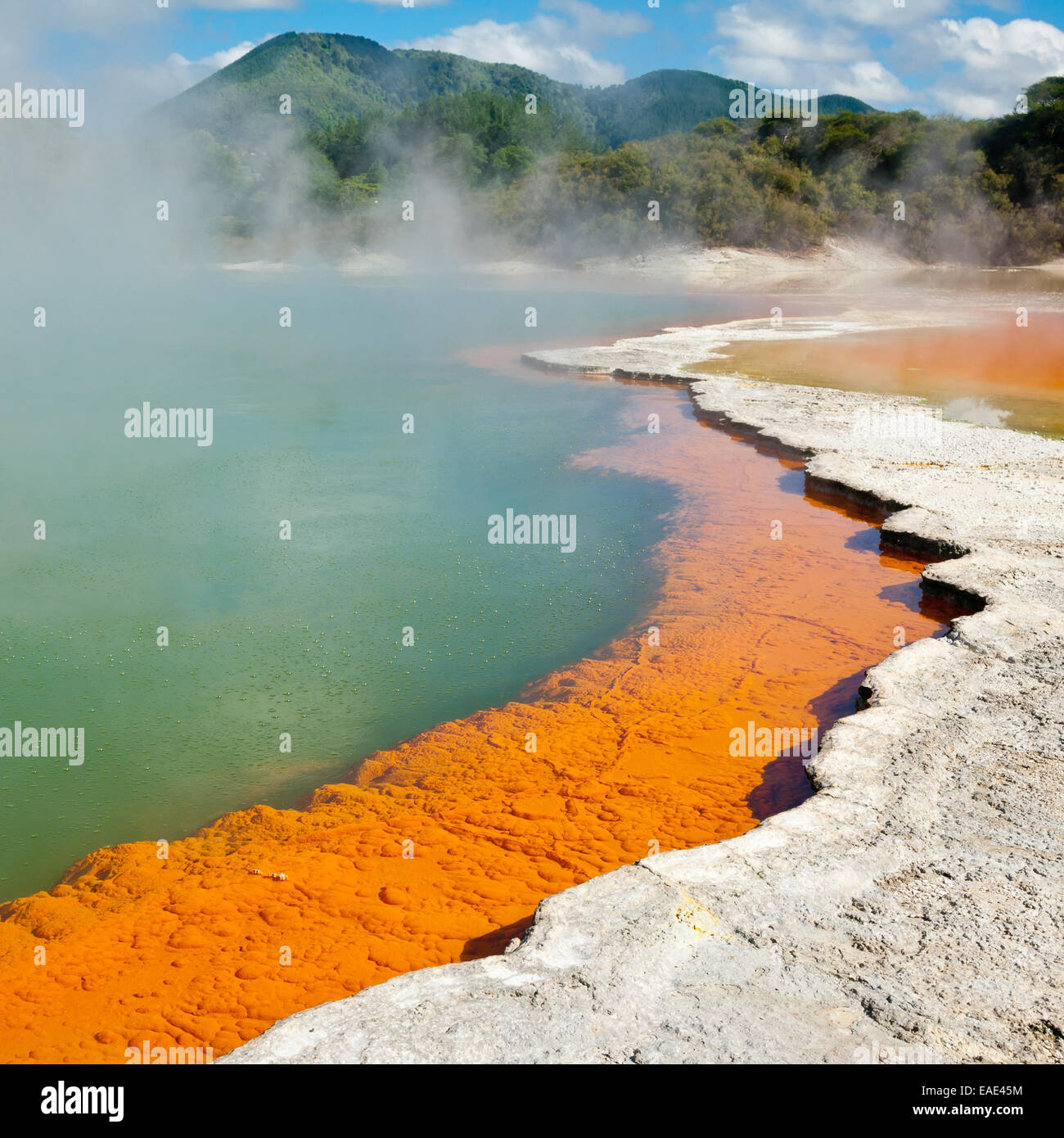 Champagne Pool at Wai-O-Tapu geothermal area in New Zealand Stock Photo ...