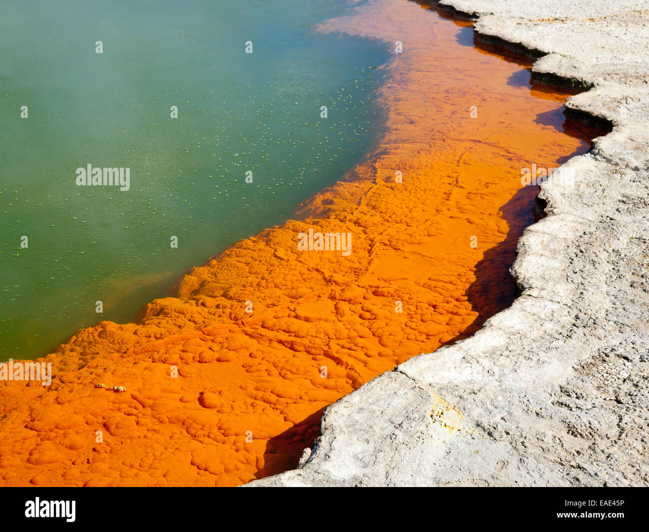The Edge of Champagne Pool at Wai-O-Tapu geothermal area in New Zealand ...