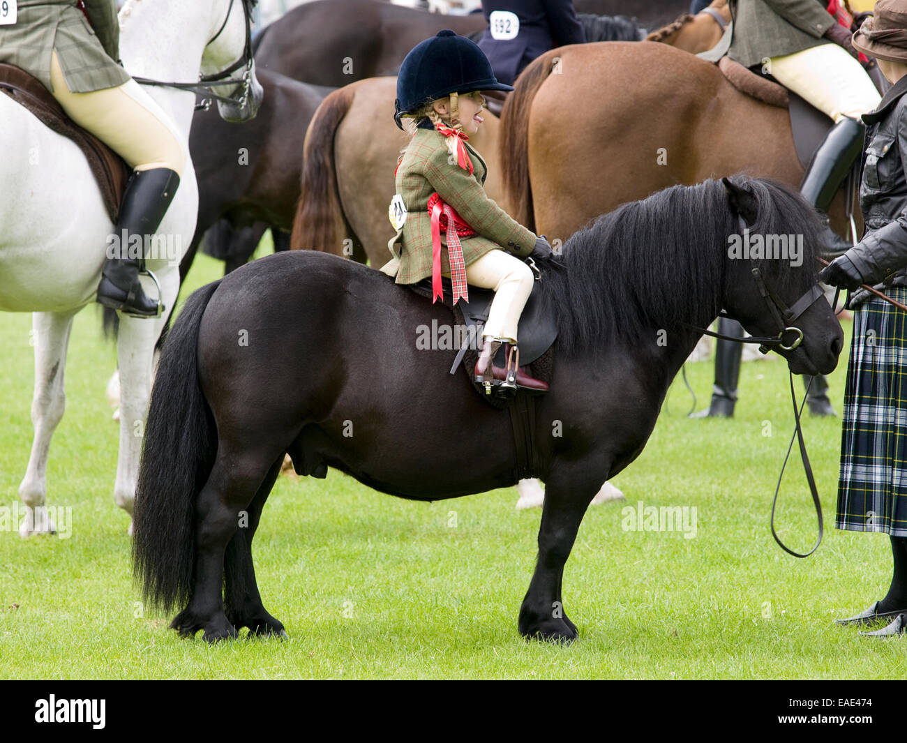 Shetland Pony and young rider at the Agricultural Show, Banchory Stock ...