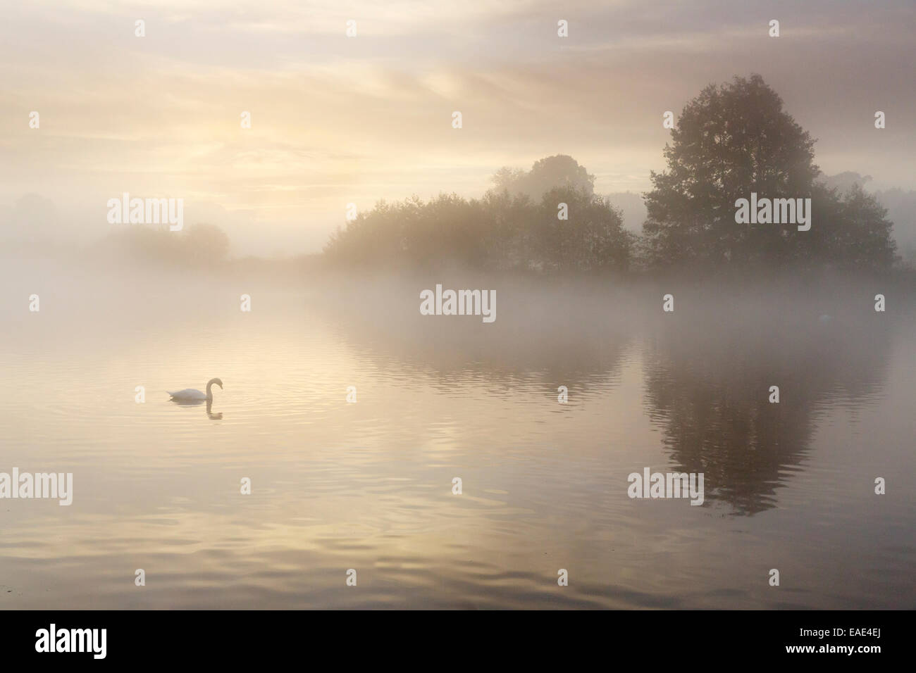 Clumber Park lake sunrise, October 2014 Stock Photo - Alamy